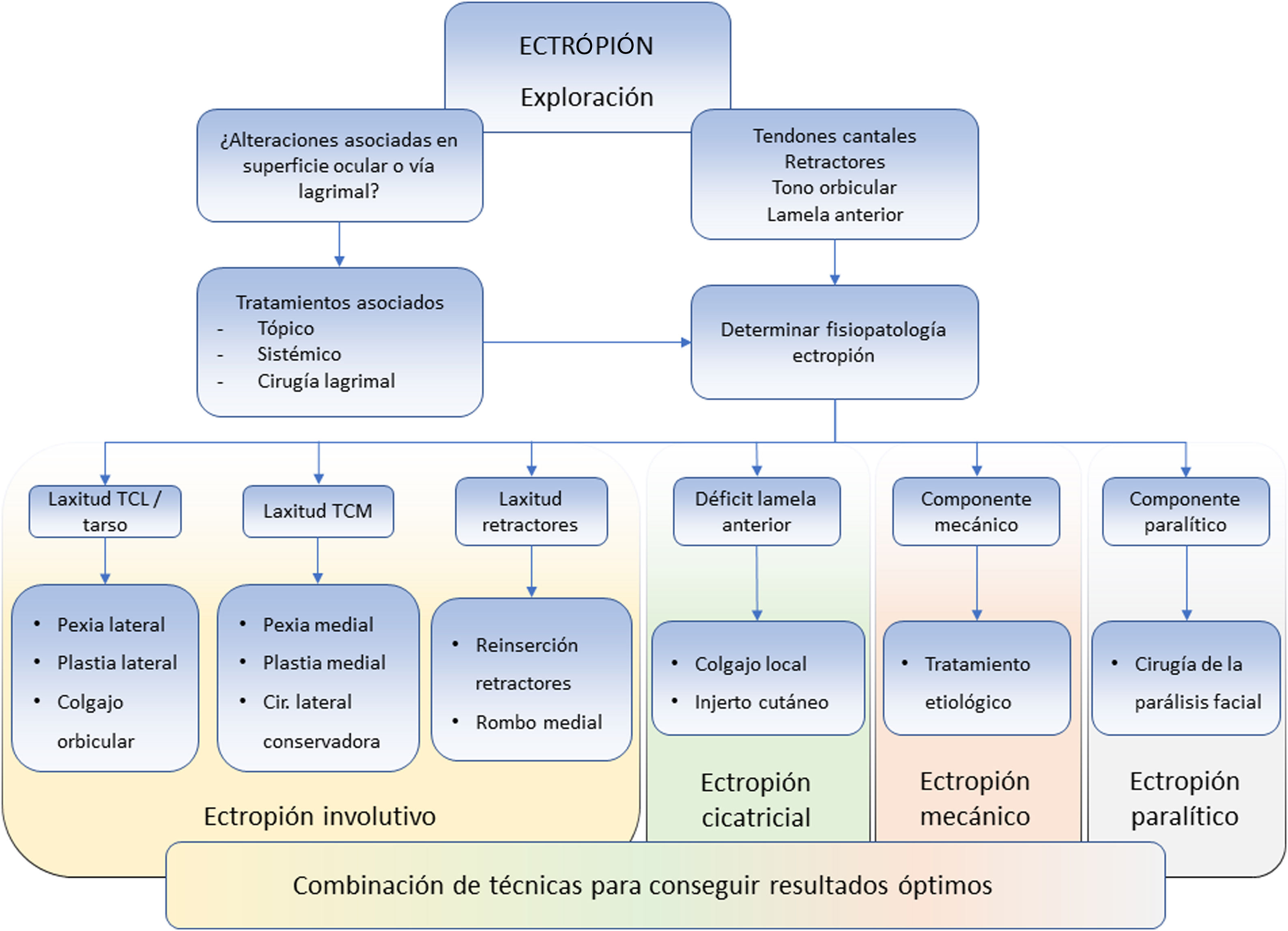 Réplica a «Ectropión en cirugía dermatológica: exploración y técnicas ...