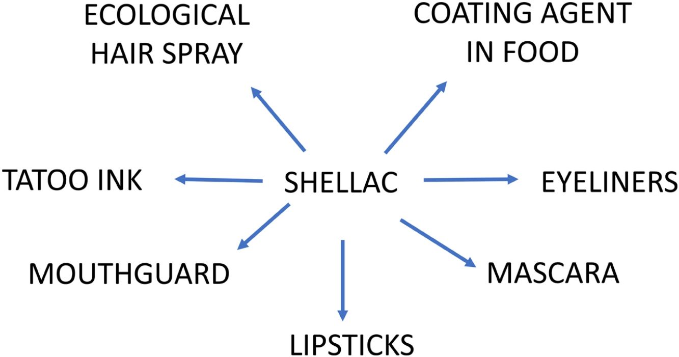 shellac chemotechnique