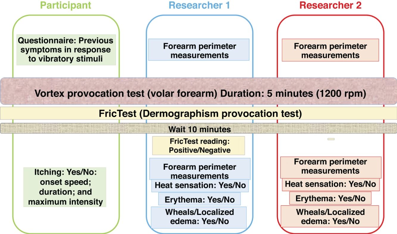 Erythema, Localized Edema and Heat vs Forearm Perimeter Increase. Time ...