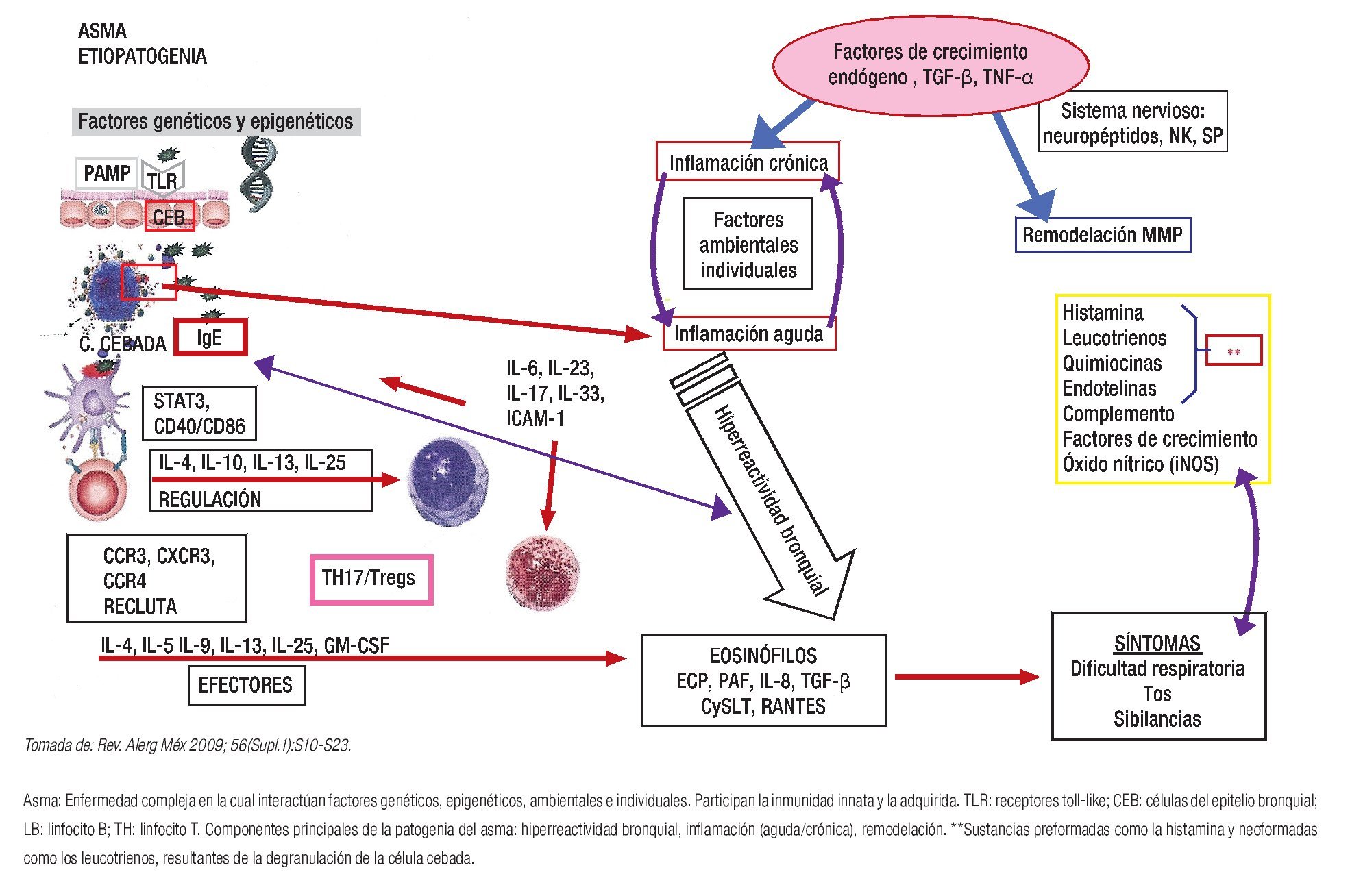 Tratamiento del asma persistente y de difícil control: actualización de ...