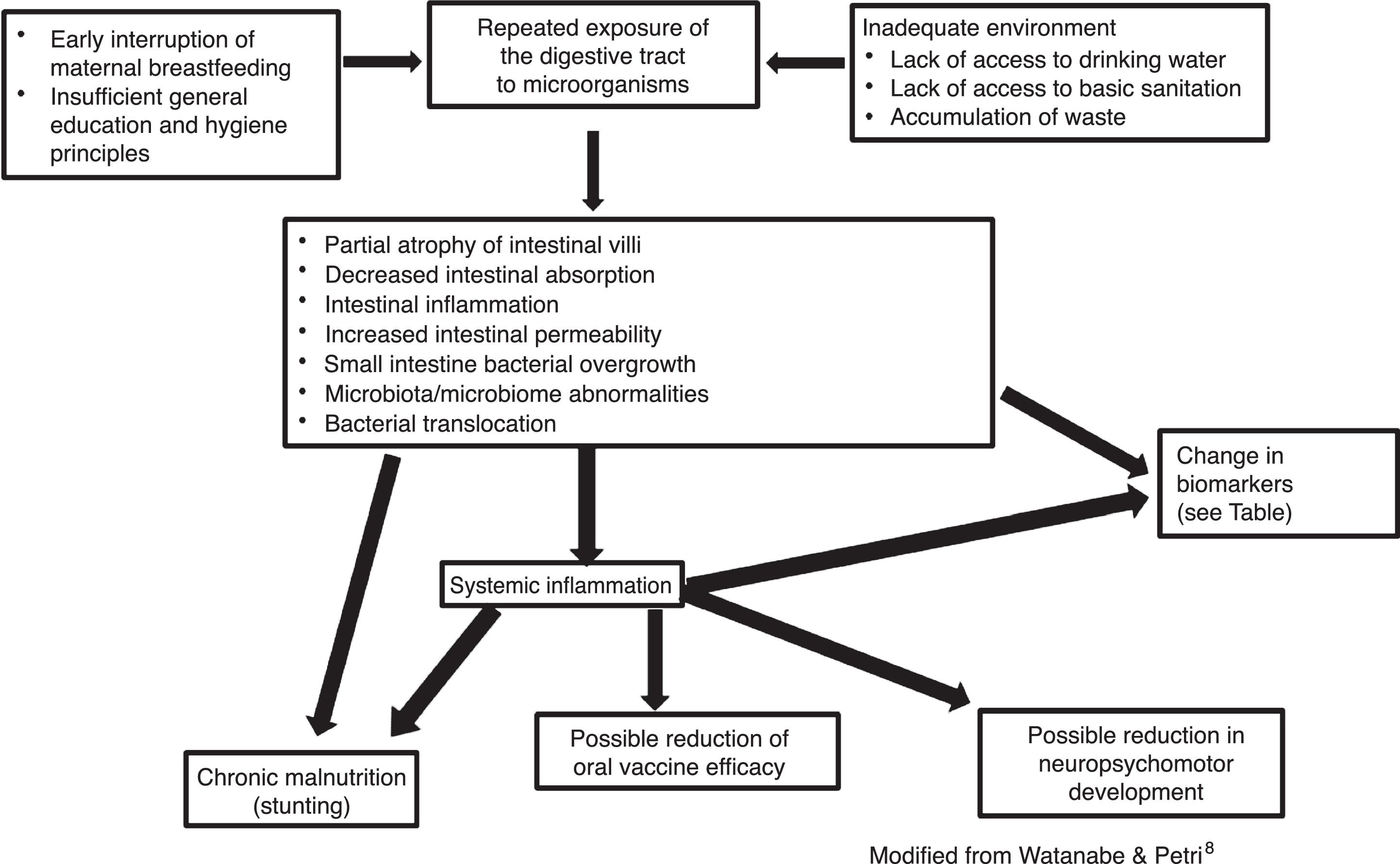 Environmental Enteric Dysfunction And Growth Jornal De Pediatria
