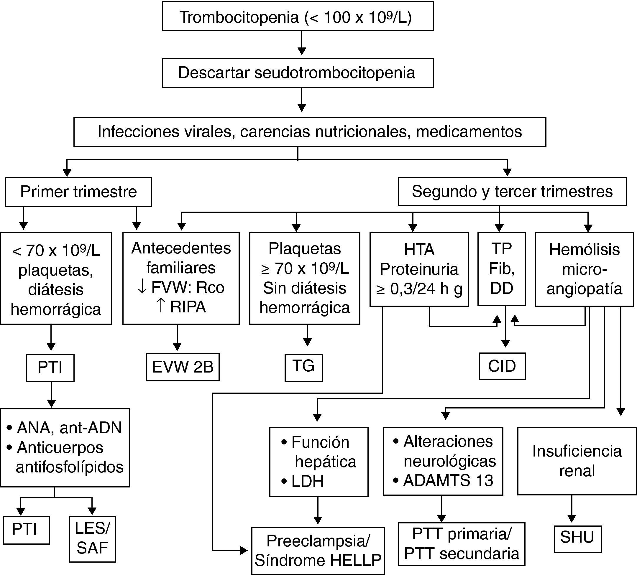 Diagnóstico, tratamiento y seguimiento de la trombocitopenia inmune ...