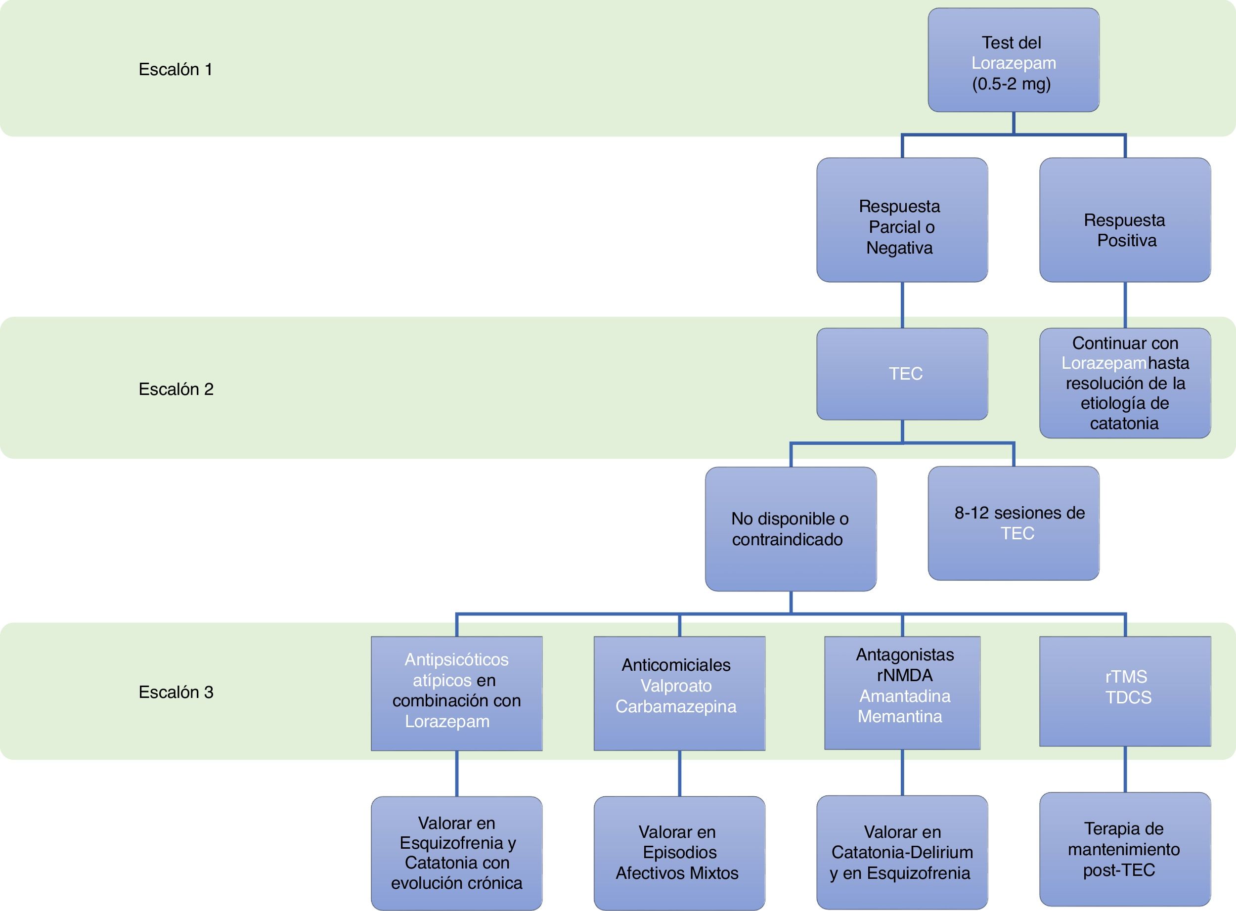 Catatonia: regreso al futuro del síndrome neuropsiquiátrico | Medicina ...