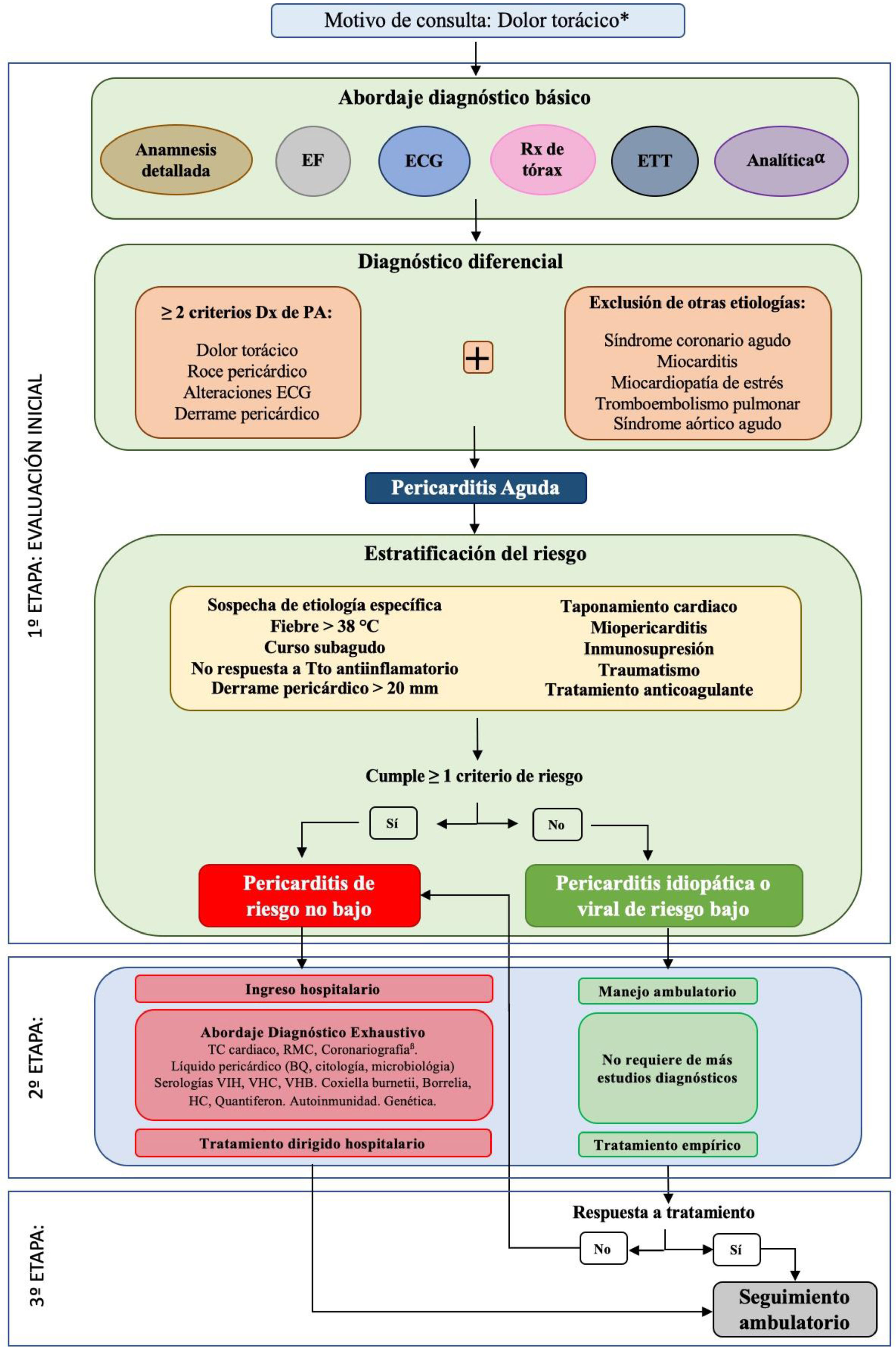 Abordaje integral de la pericarditis aguda: un enfoque clínico ...