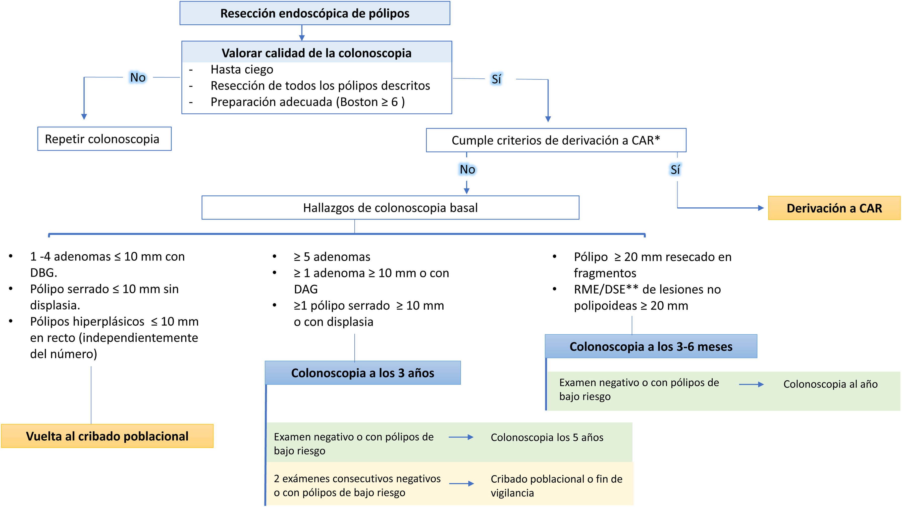 Recomendaciones de vigilancia tras resección endoscópica de pólipos de ...