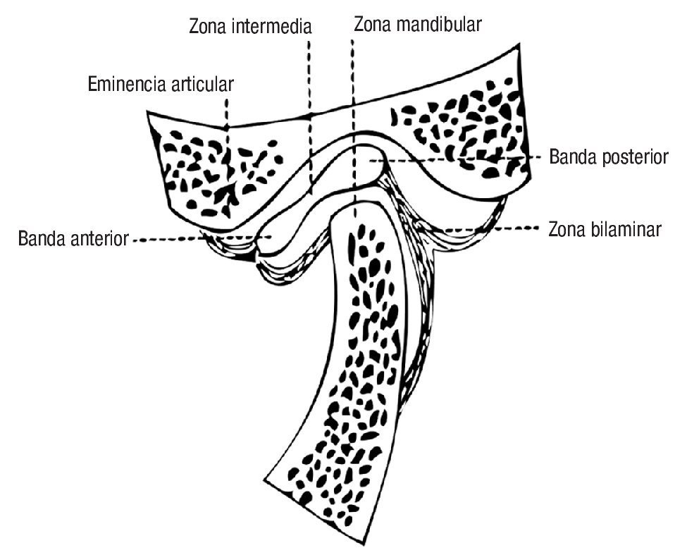 Resonancia magnética de la articulación temporomandibular | Radiología