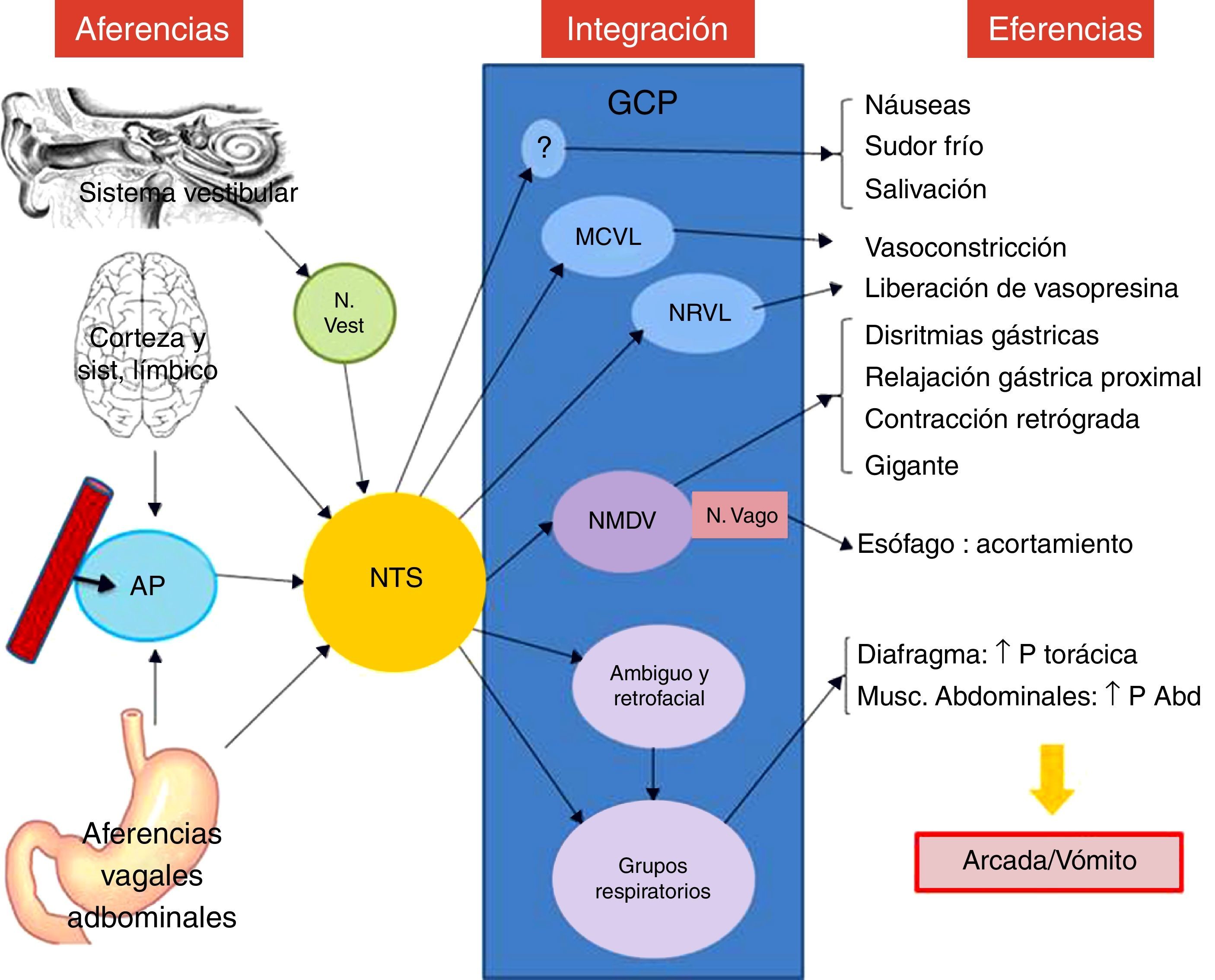 Náuseas y vómitos postoperatorios: fisiopatología, factores de riesgo ...