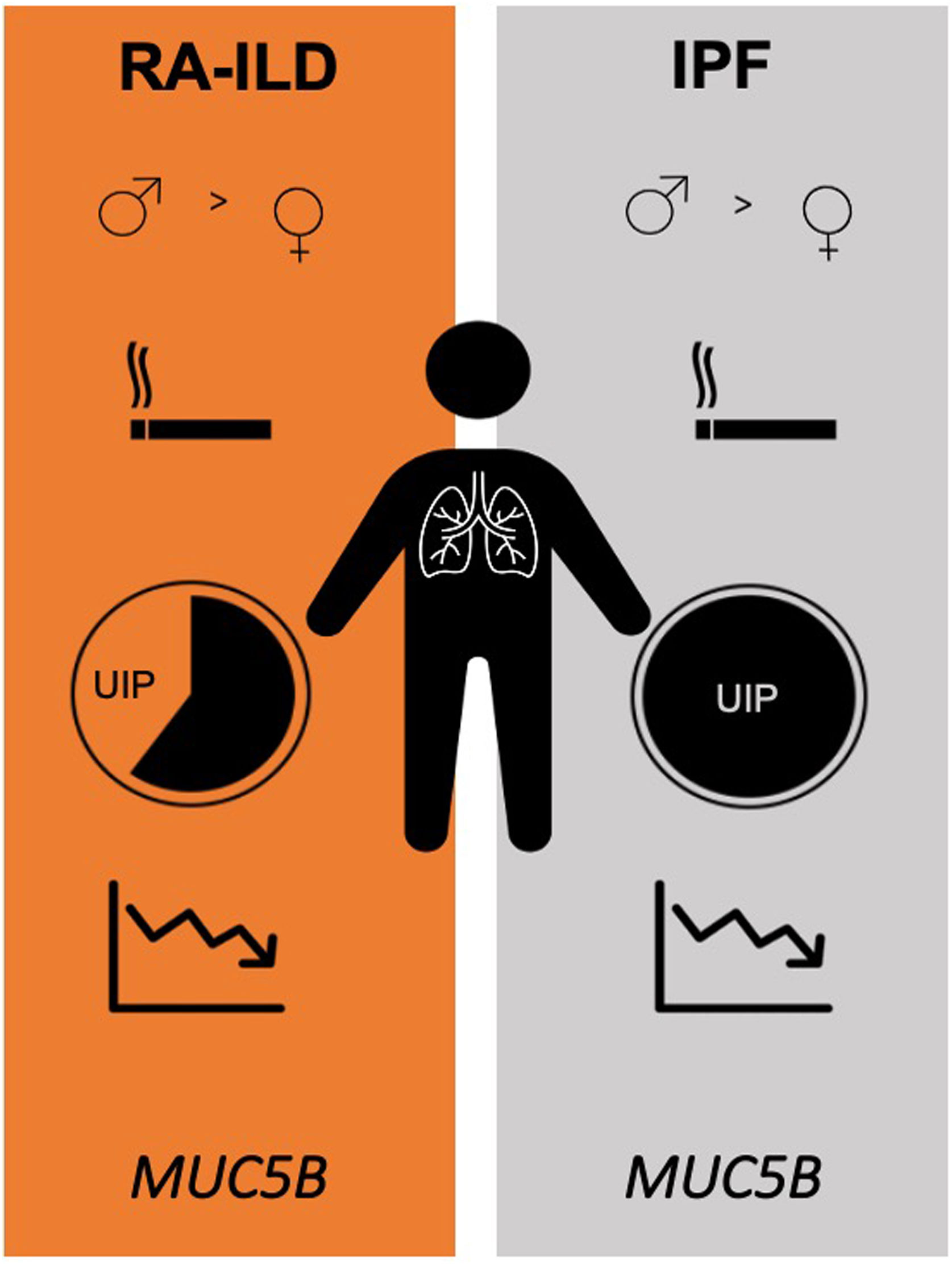 Genetics of autoimmune-associated interstitial lung diseases: A focus ...