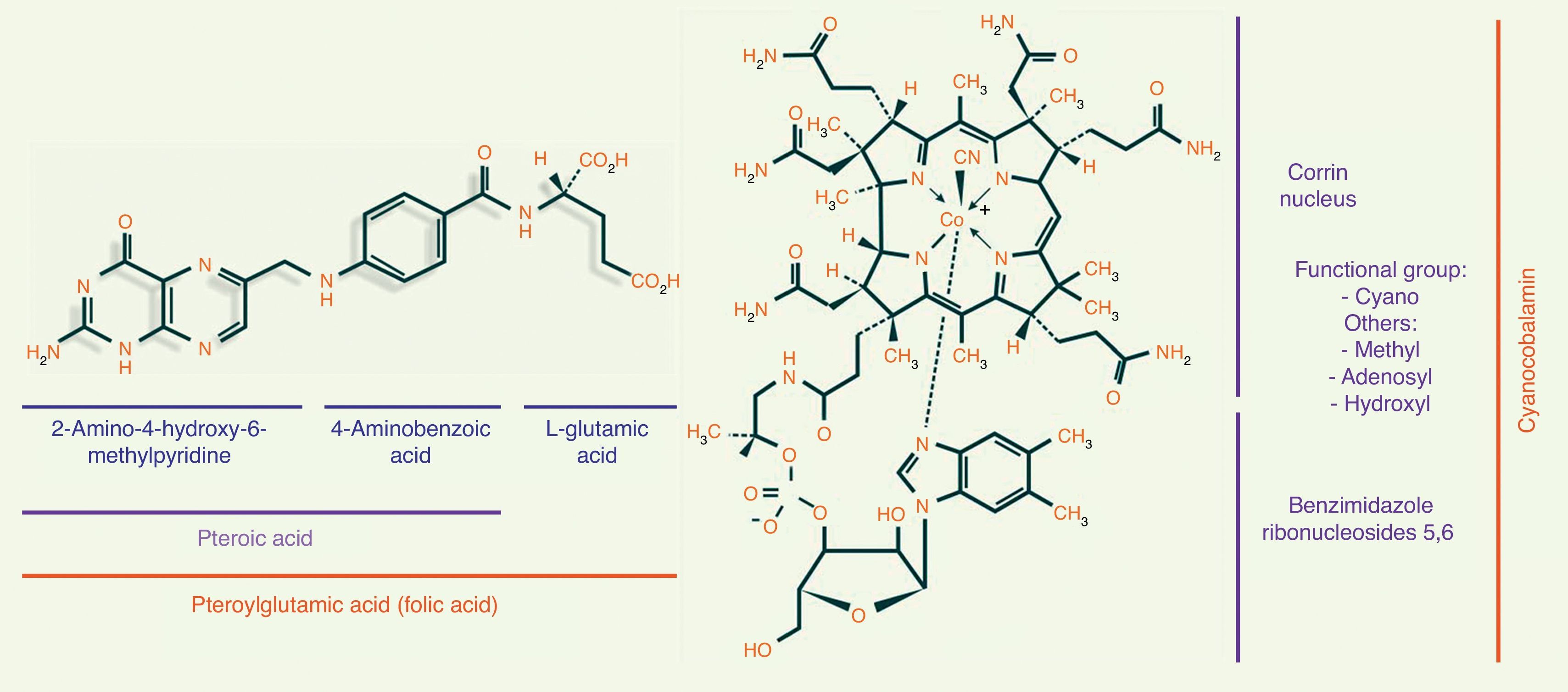 cobalamin structure