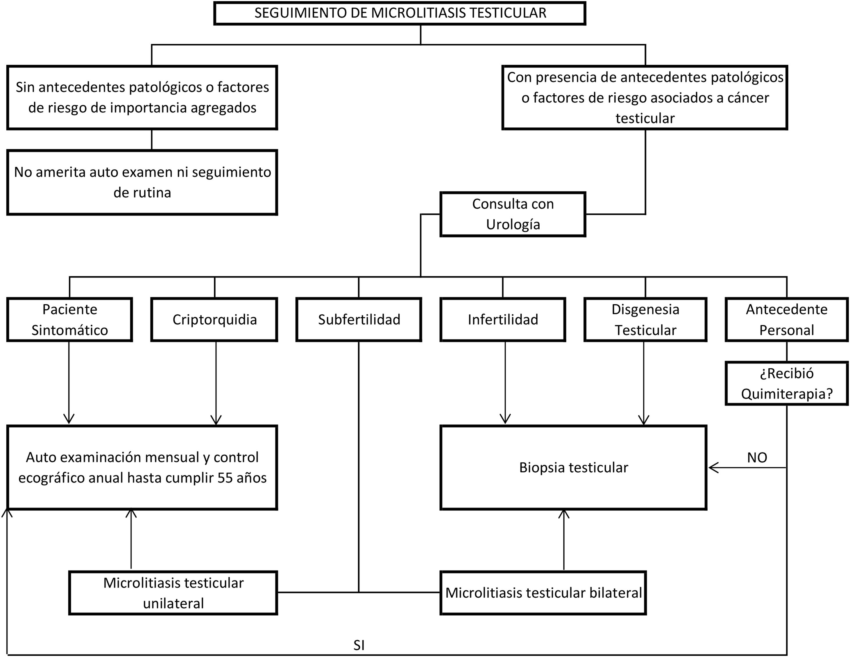 Cáncer de testículo asociado a microlitiasis testicular | Actas ...