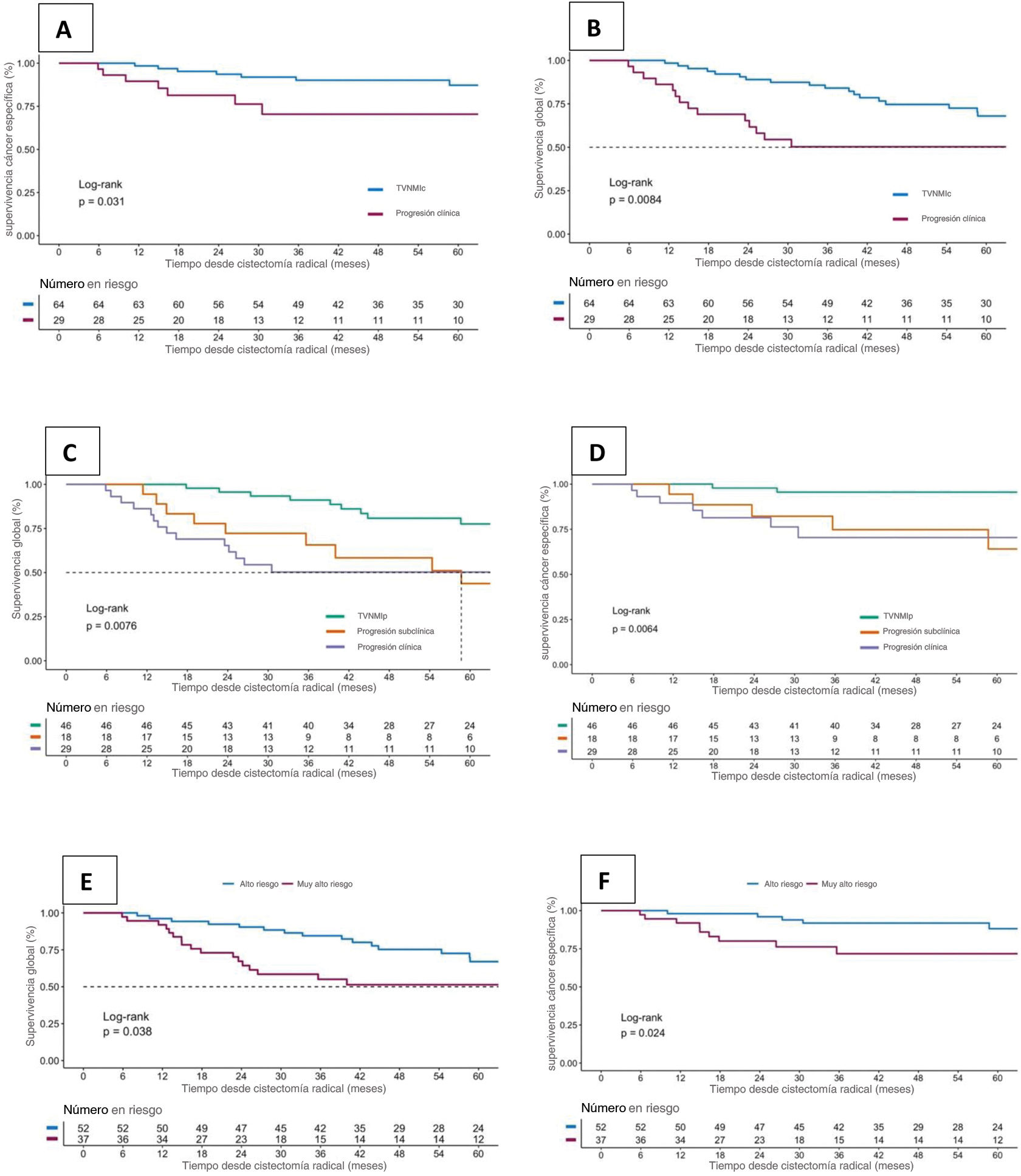 Resultados oncológicos en los pacientes con tumor vesical no músculo ...