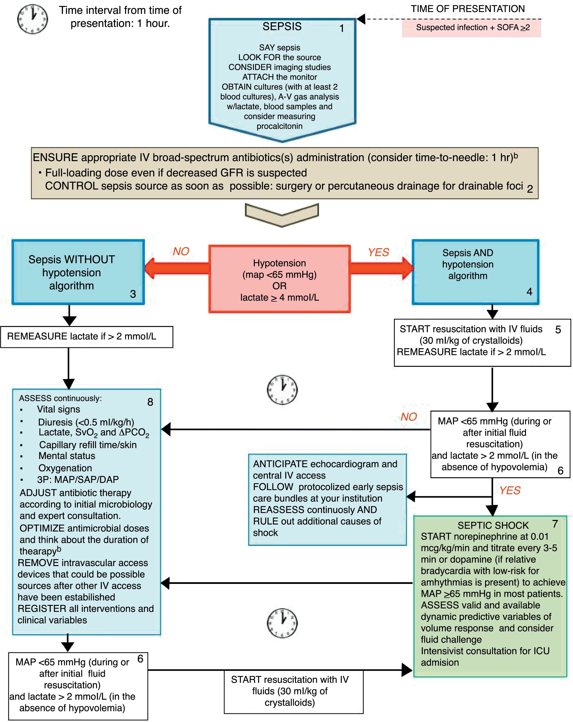 septic shock treatment algorithm