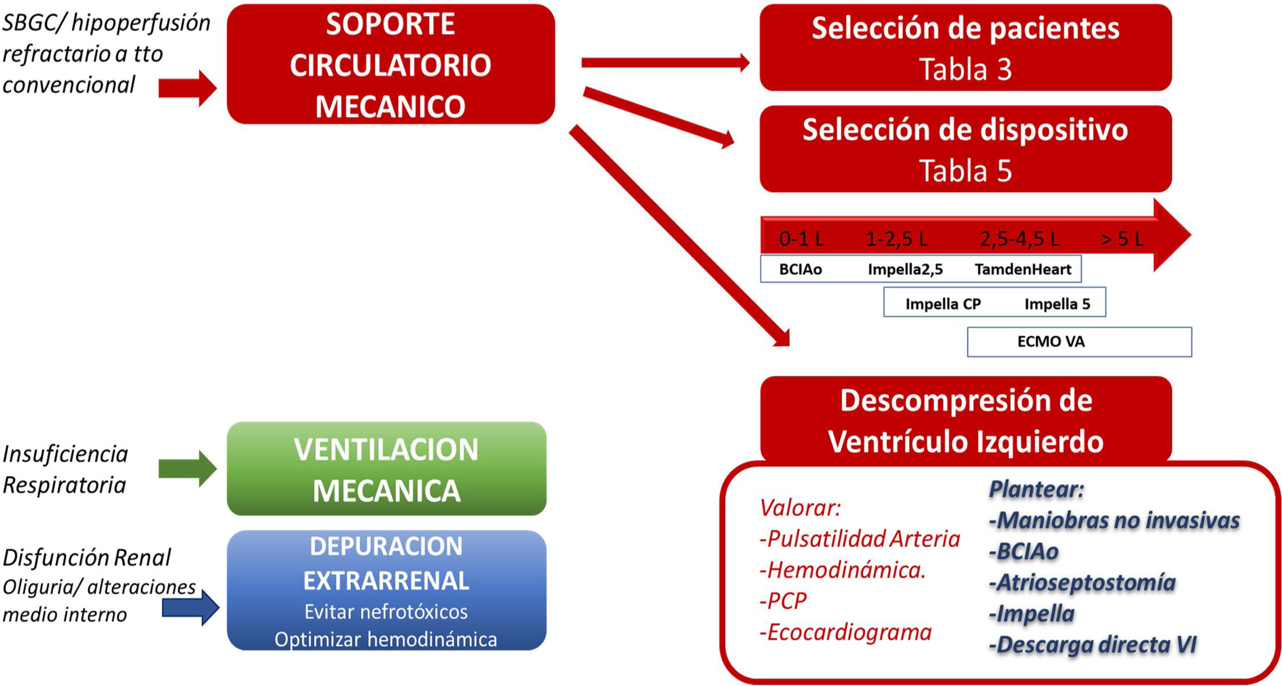 Manejo clínico del shock poscardiotomía en pacientes adultos | Medicina ...