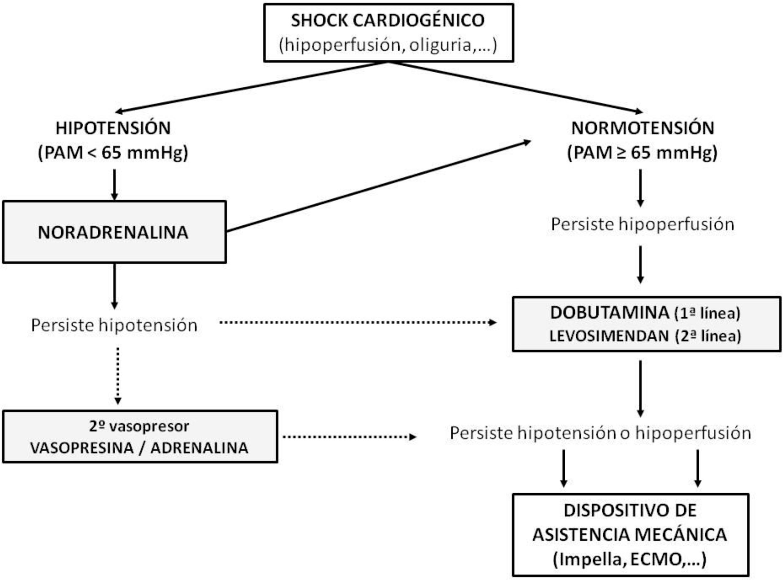 Tratamiento médico del shock cardiogénico | Medicina Intensiva