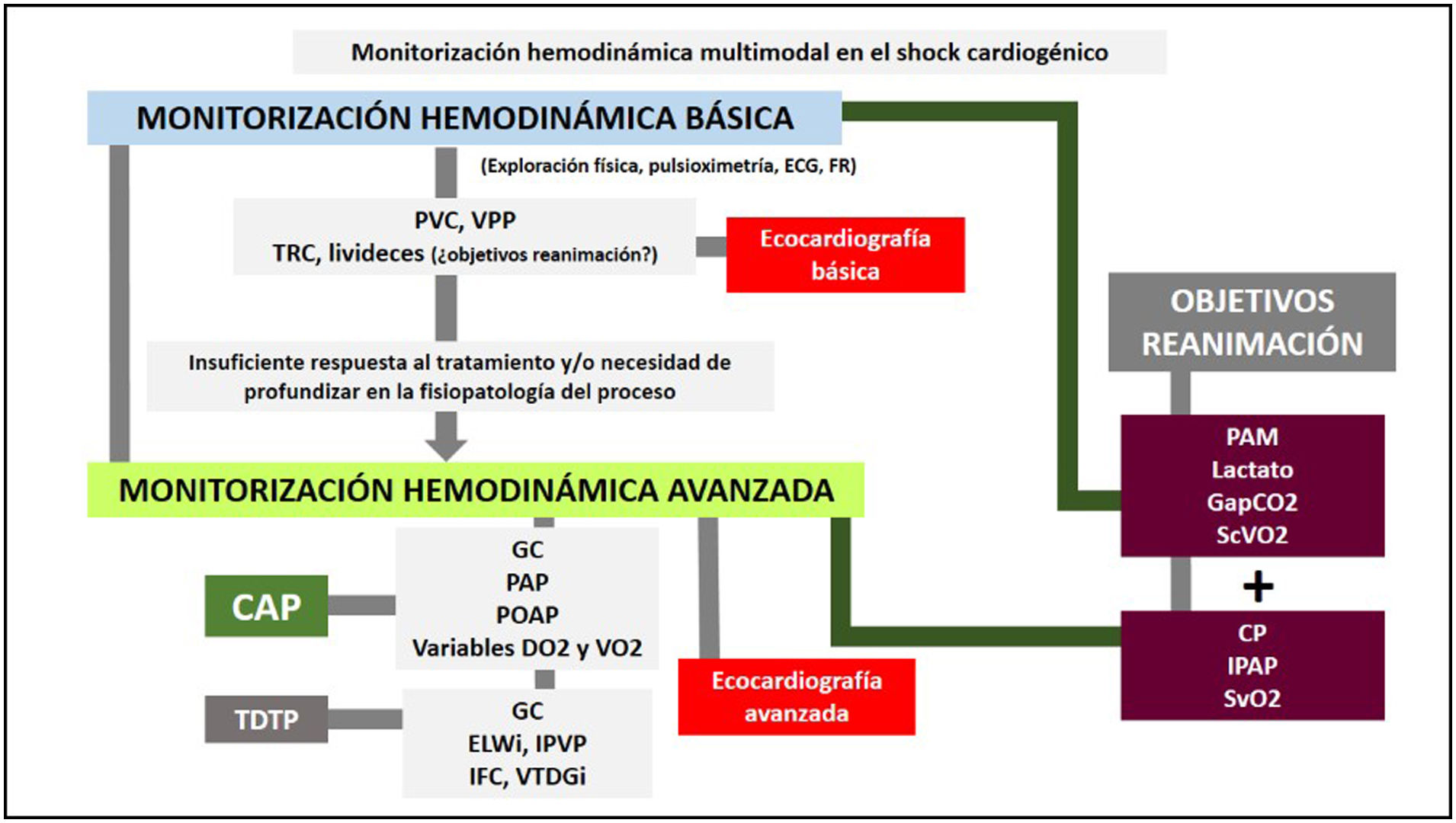 Monitorización hemodinámica y evaluación ecocardiográfica en el shock ...