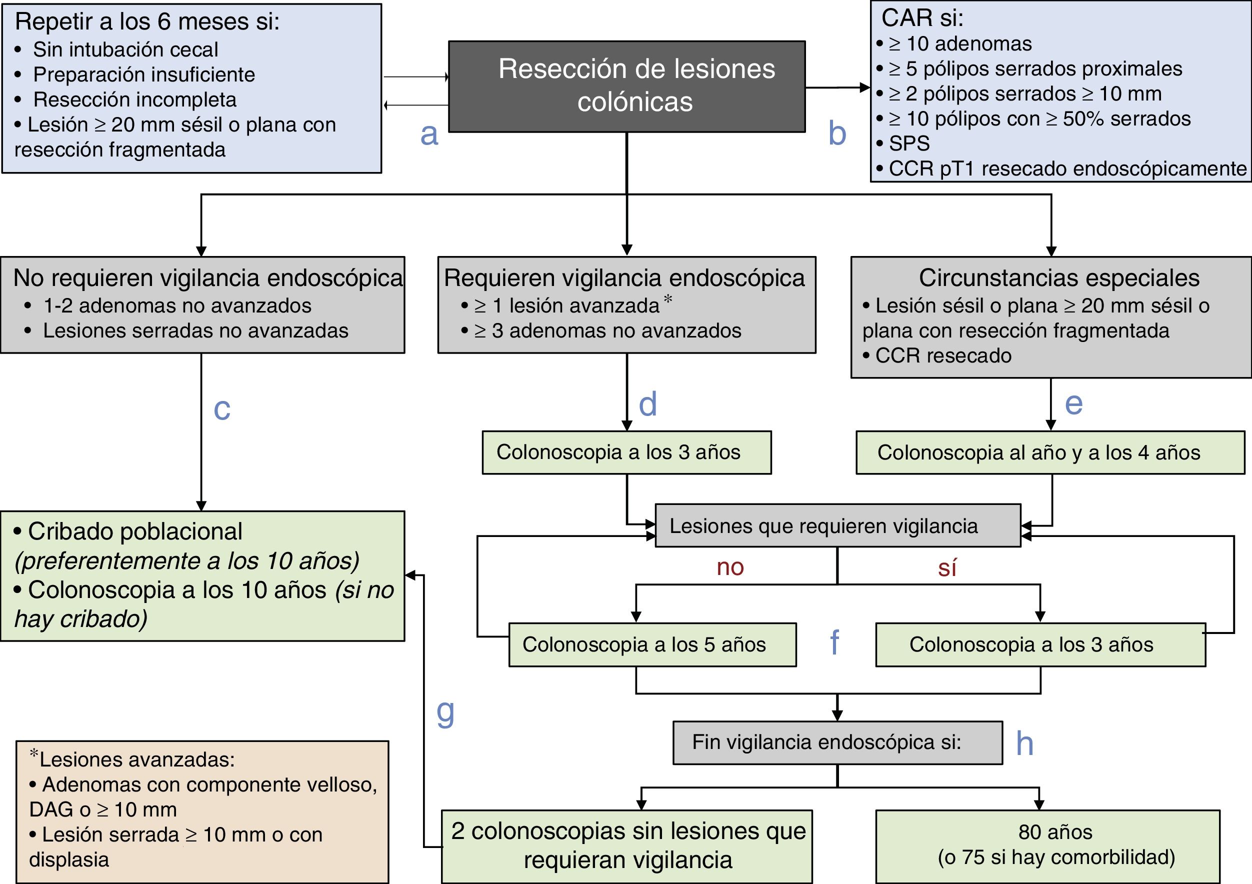 Vigilancia tras resección de pólipos de colon y de cáncer colorrectal ...