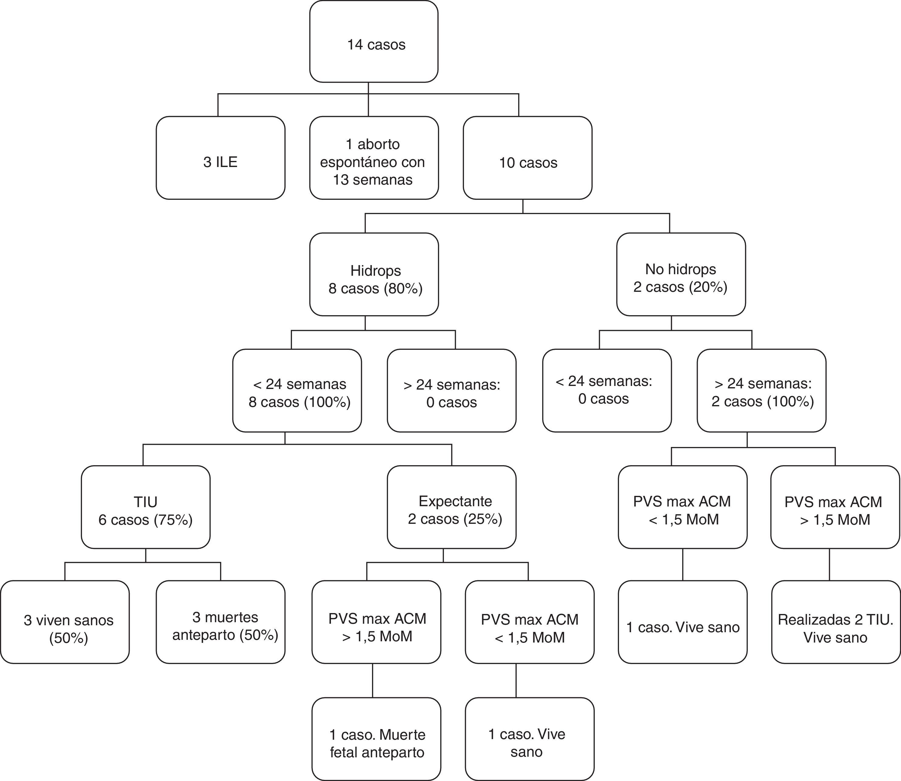 Diagnóstico ecográfico y manejo de la infección fetal por parvovirus ...