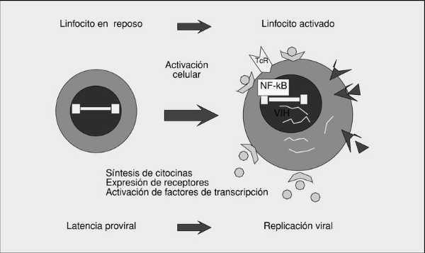 Inmunopatología del sida | Medicina Integral