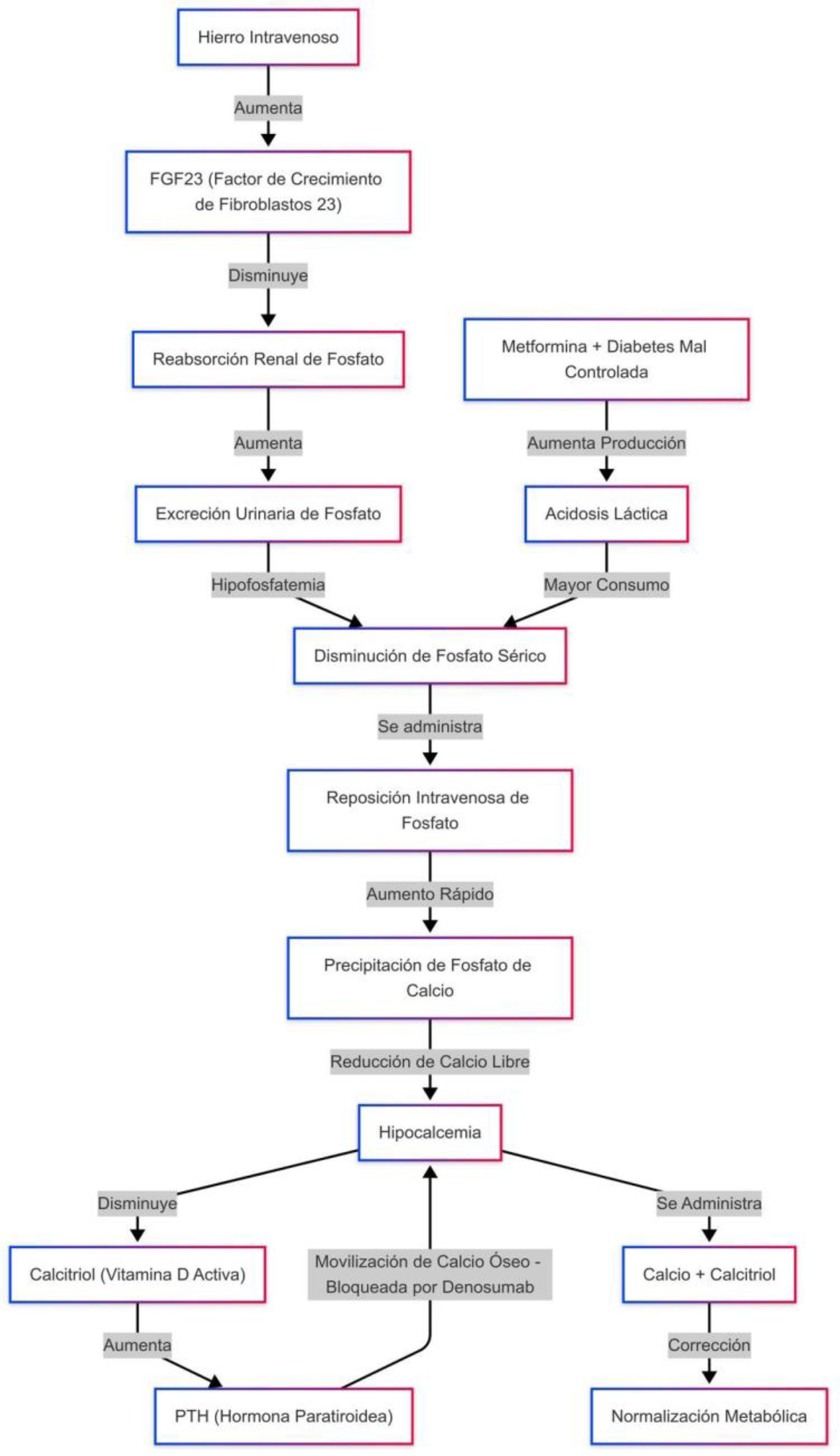Acidosis láctica por metformina, hipofosfatemia severa e hipocalcemia ...