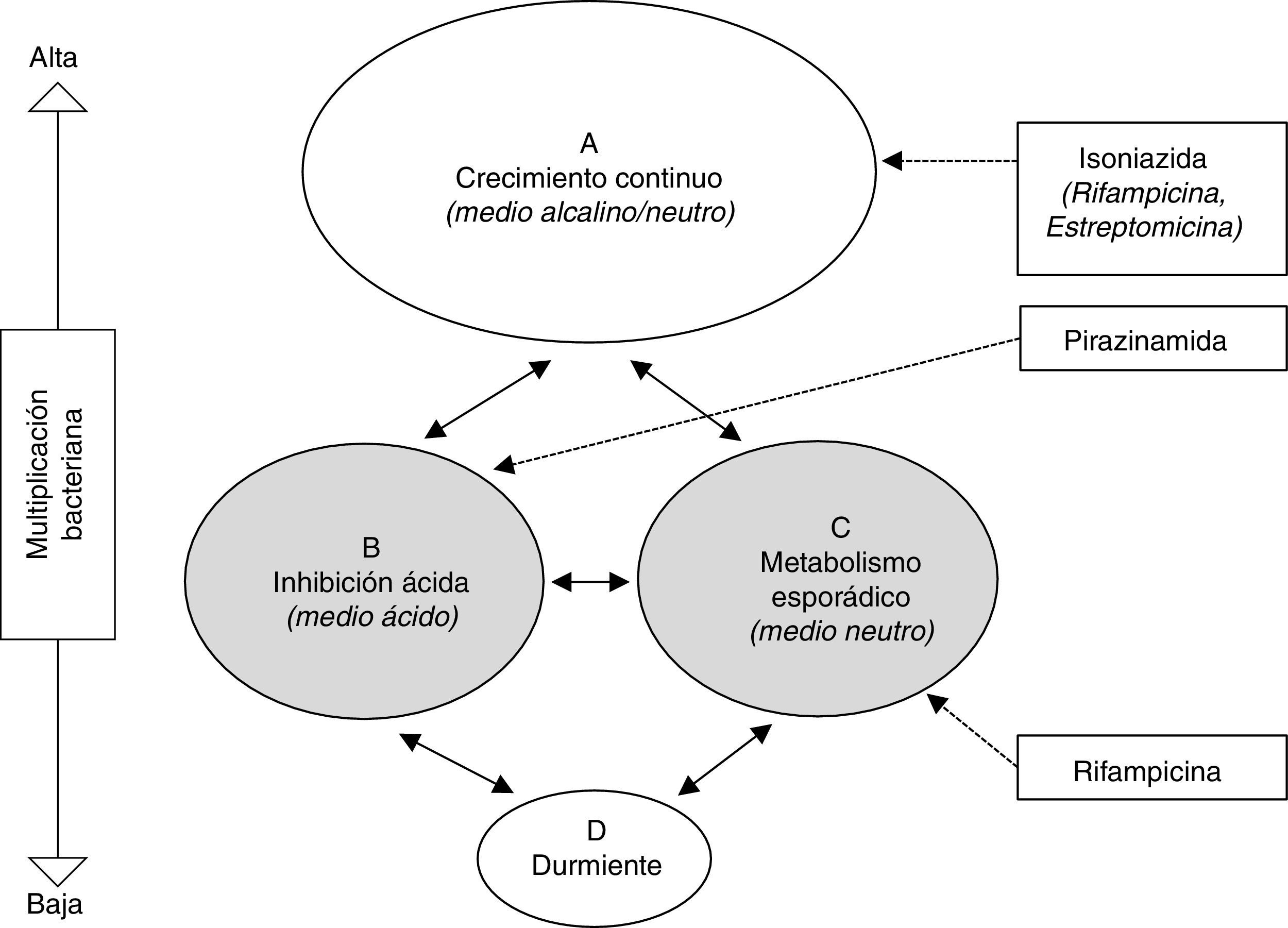 Diagnóstico y abordaje terapéutico de la infección tuberculosa latente ...