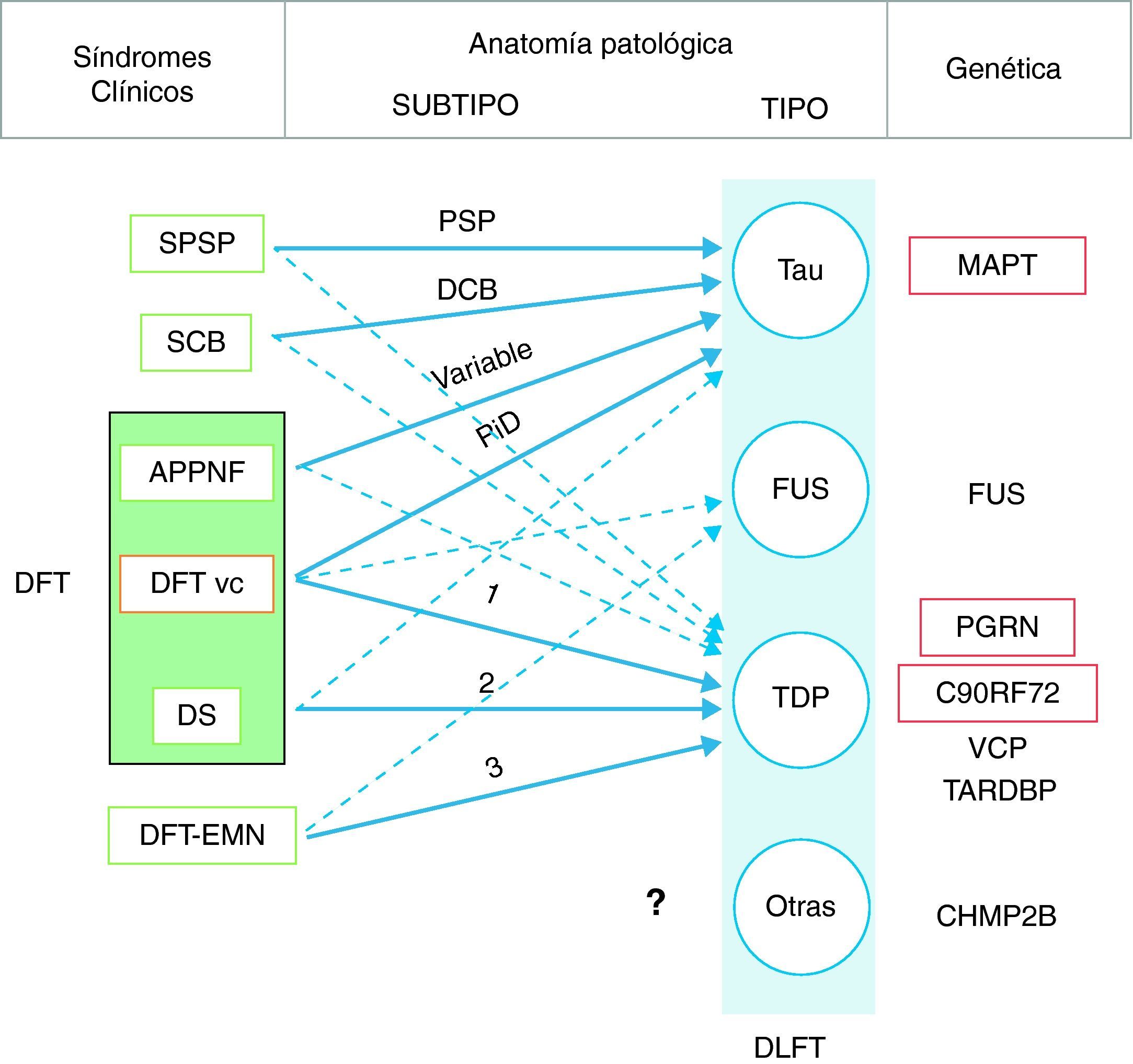 Demencia frontotemporal variante conductual: biomarcadores, una ...