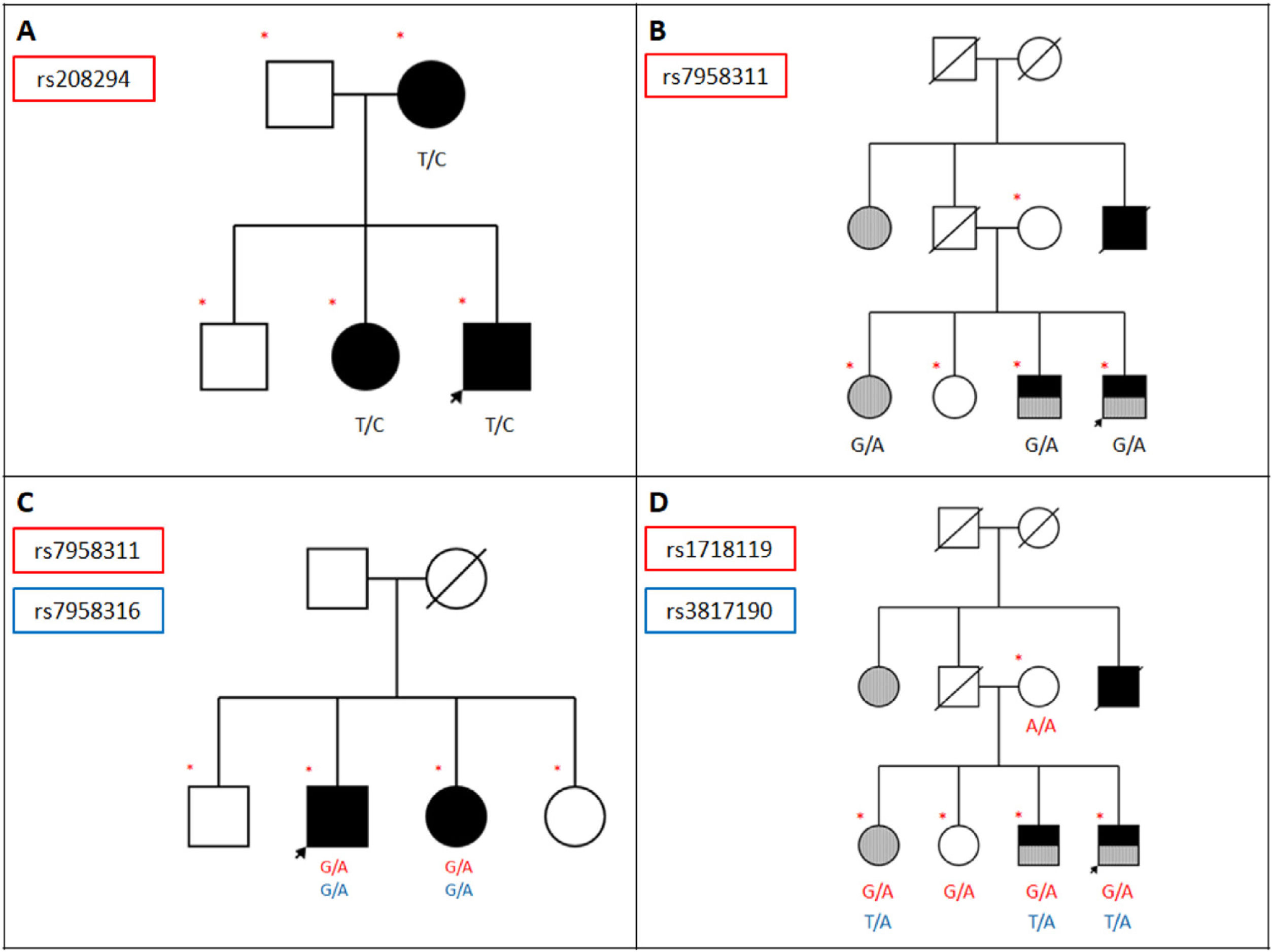Exonic variants of the P2RX7 gene in familial multiple sclerosis ...