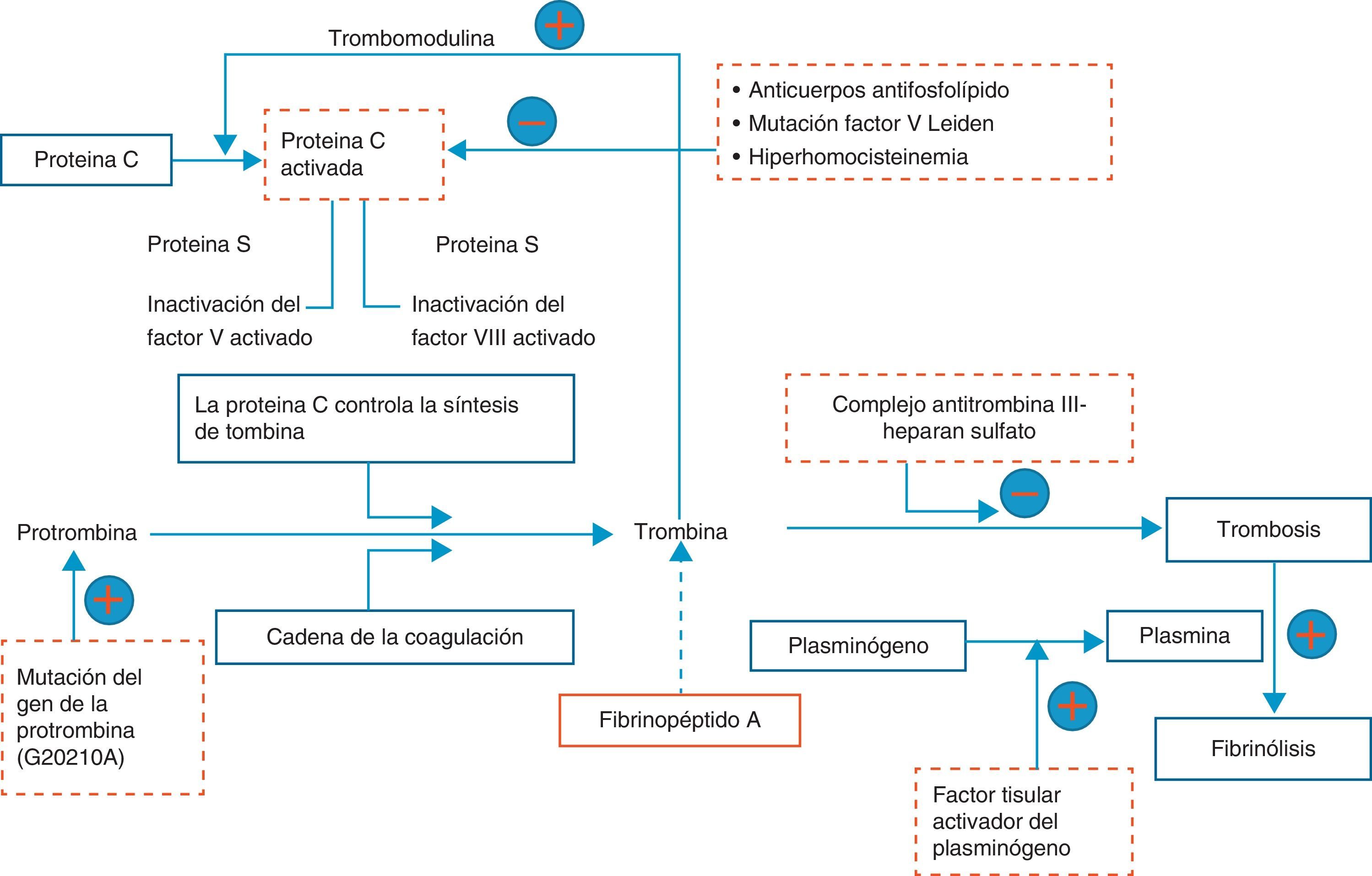 Vasculopatía livedoide | Piel. Formación continuada en dermatología