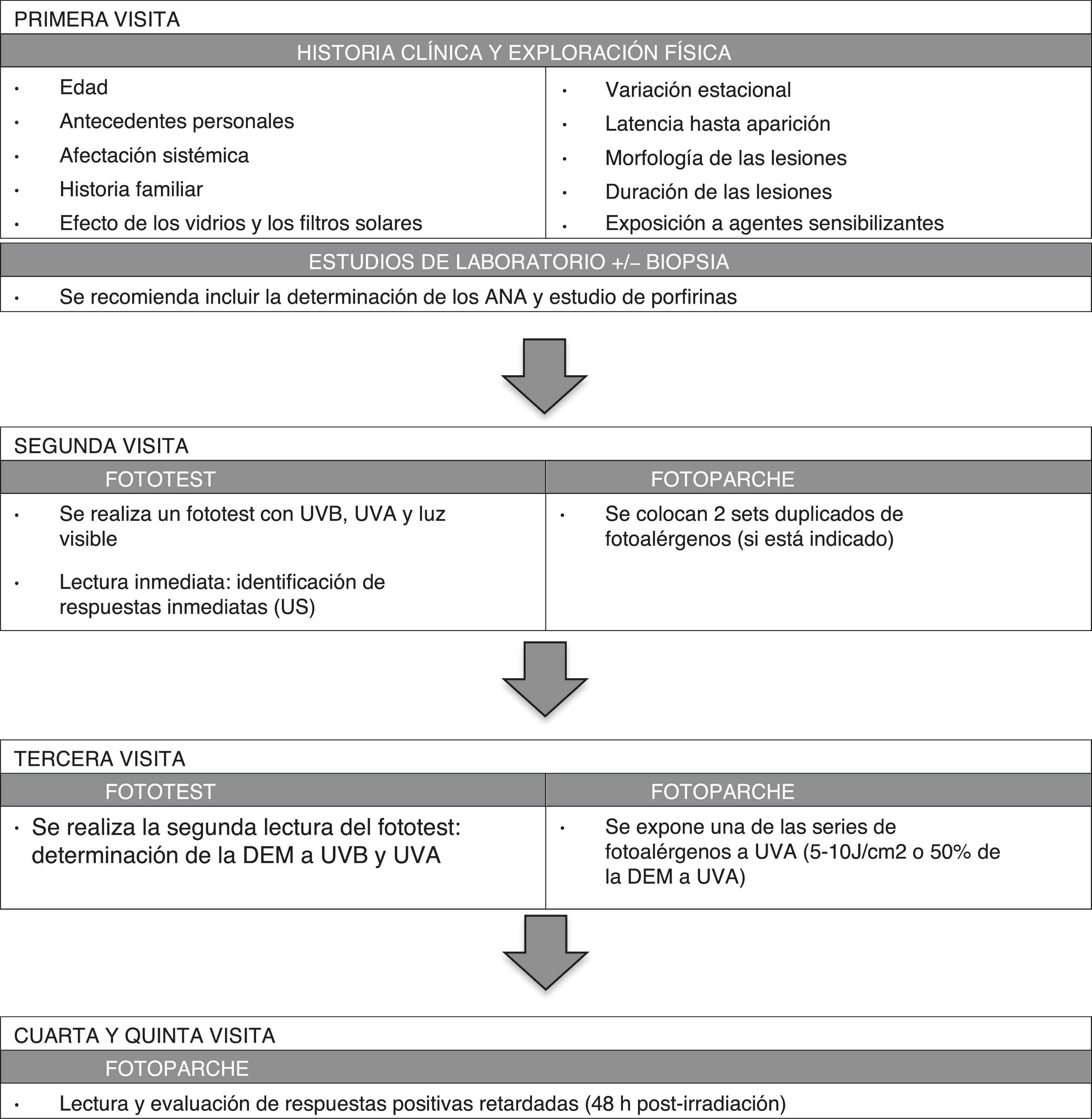 Fotodermatosis: proceso diagnóstico y tratamiento | Piel. Formación ...