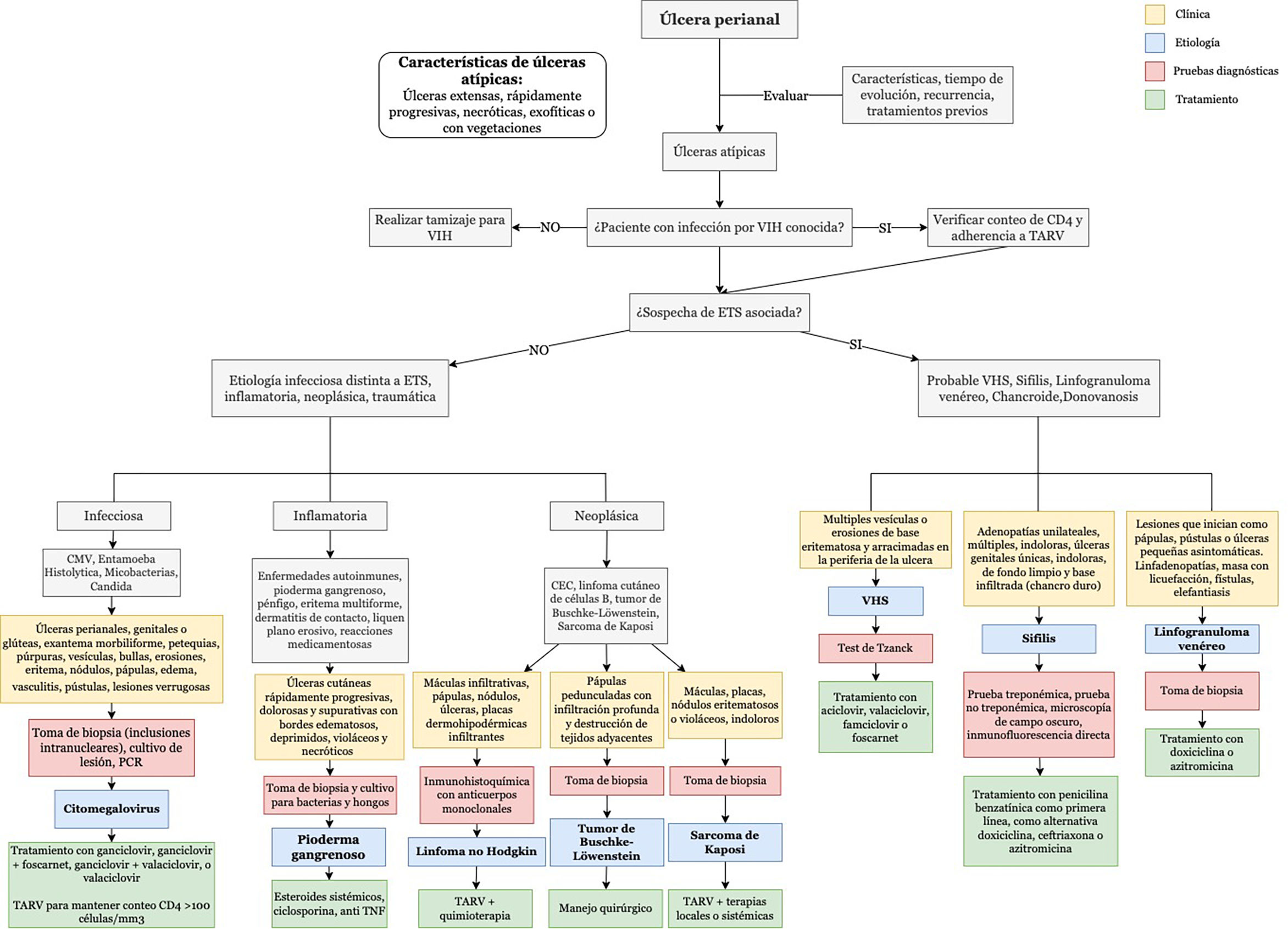 Abordaje de las úlceras perianales en el paciente con infección VIH ...