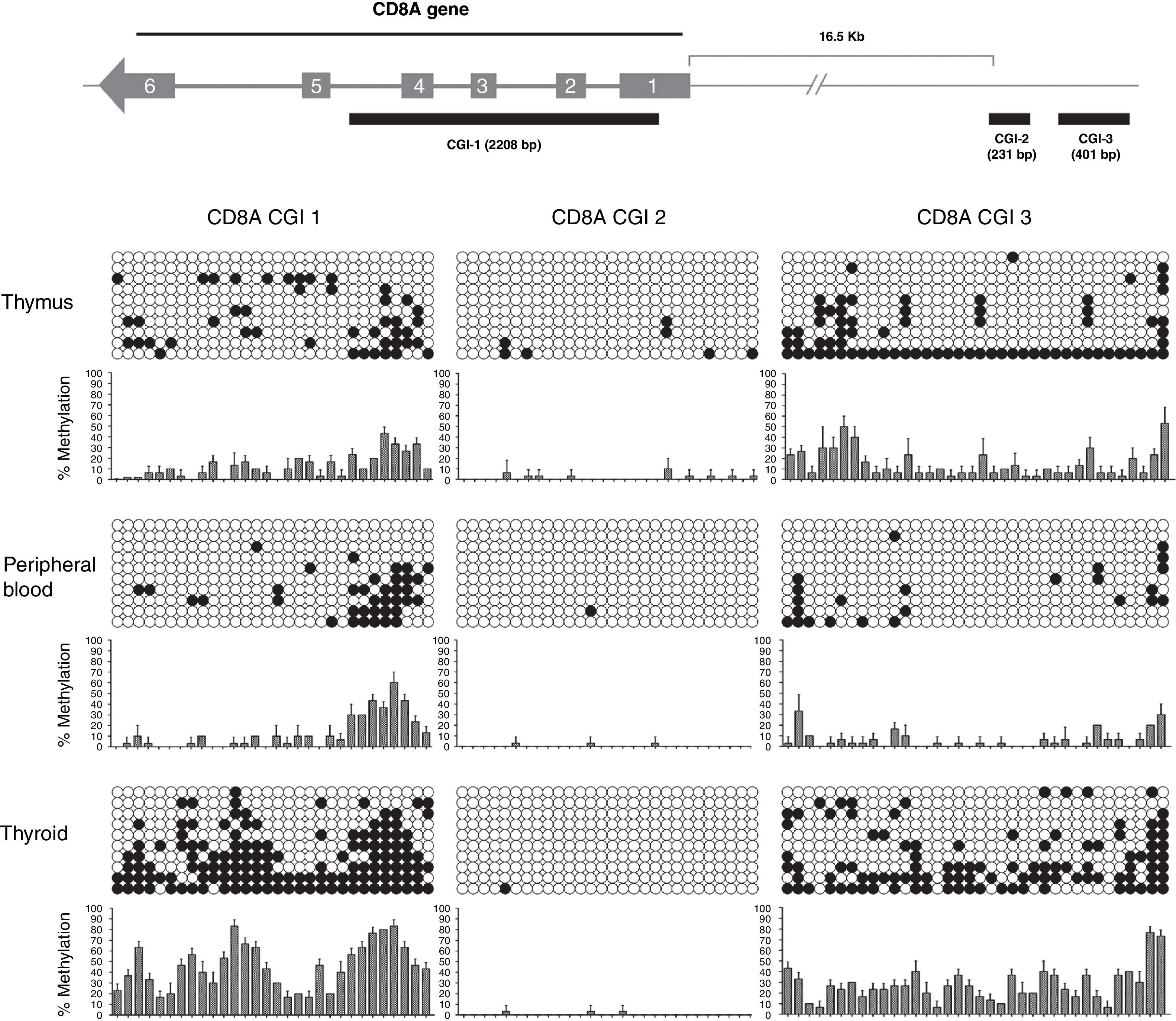 Bisulfite genomic sequencing to uncover variability in DNA methylation ...