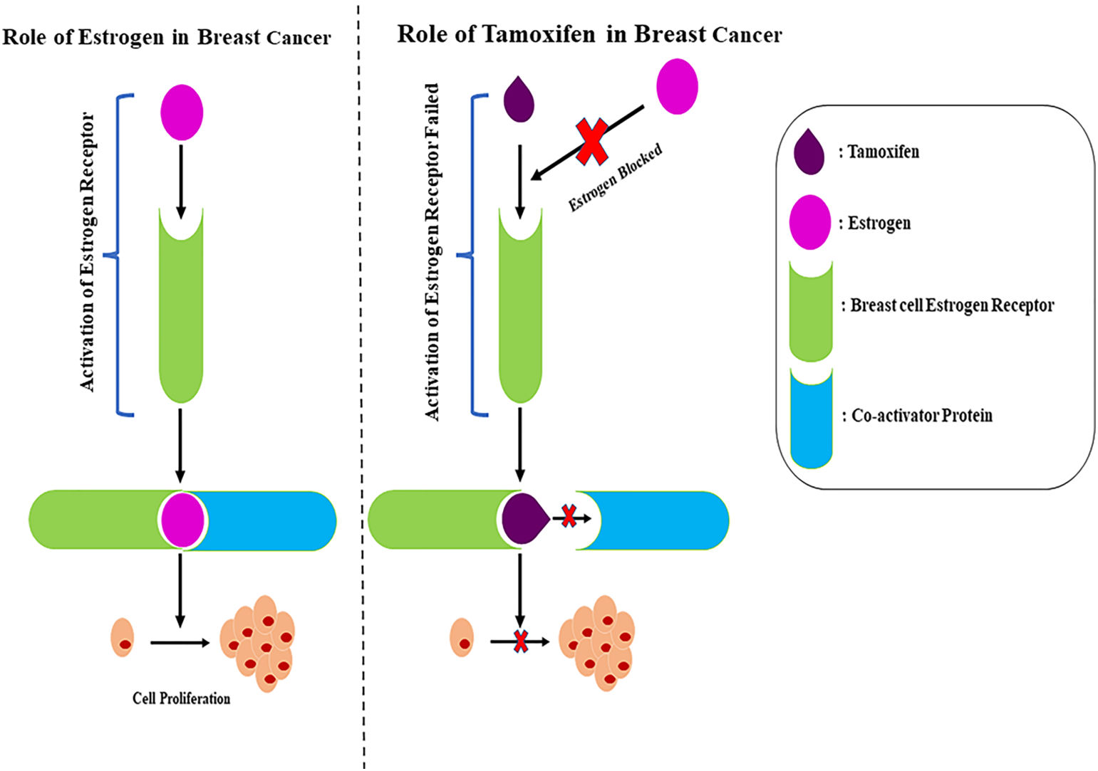 Precision paradigm in breast cancer management: A mini review