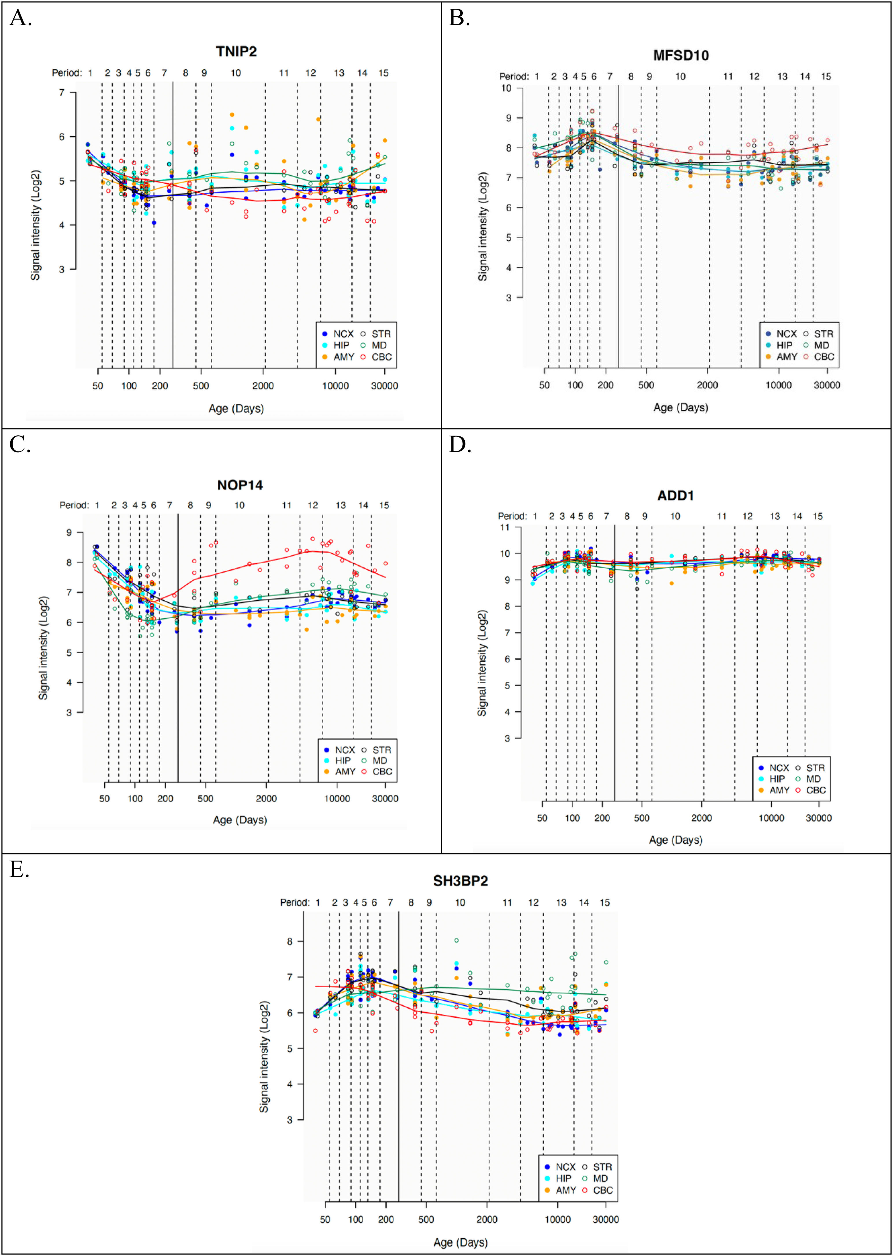 Perfil léxico-semántico asociado a microduplicación 4p16.3: un estudio ...