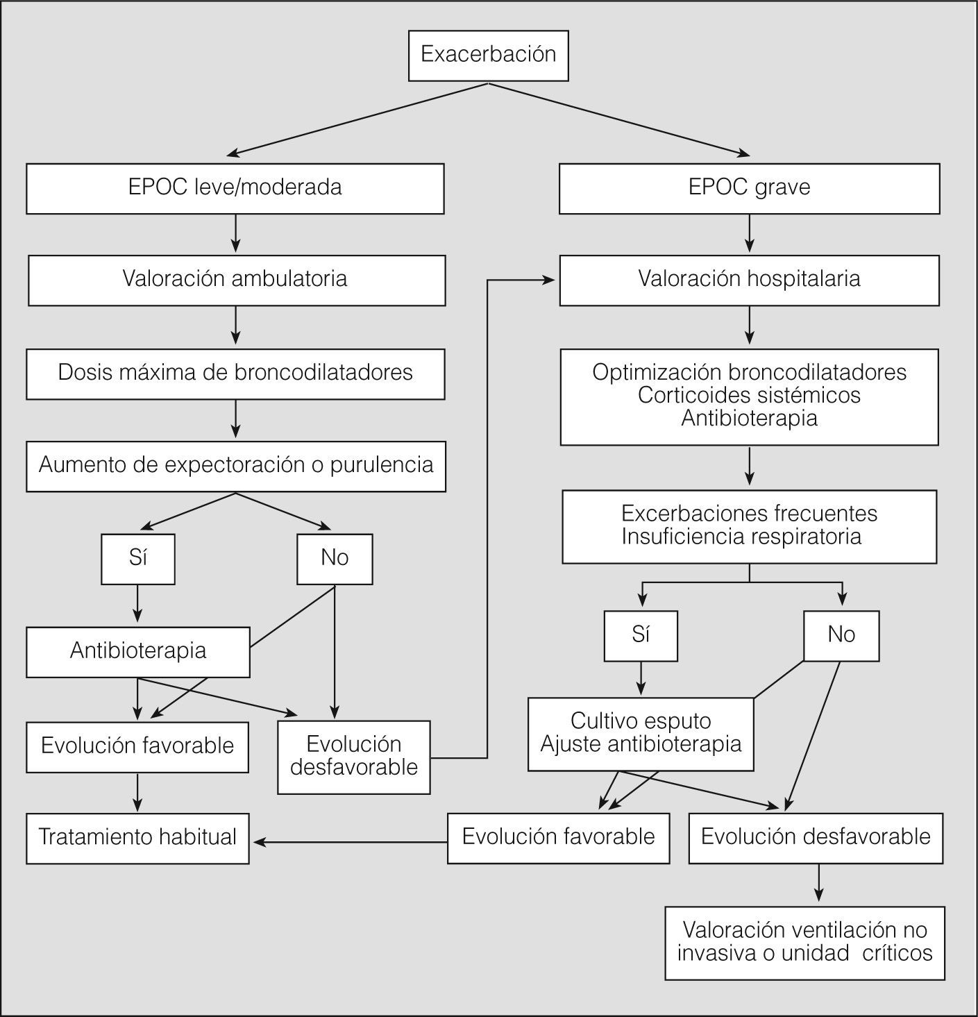 Guía clínica SEPAR-ALAT de diagnóstico y tratamiento de la EPOC | Archivos de Bronconeumología