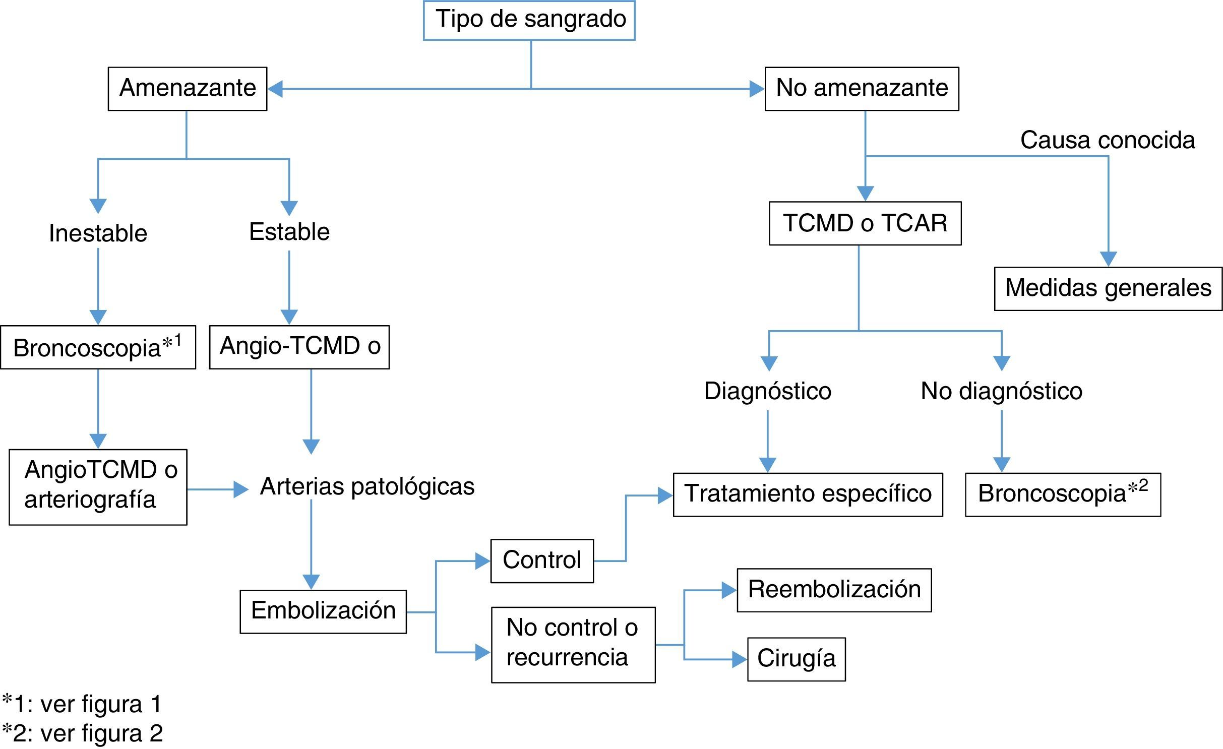 Diagnóstico y tratamiento de la hemoptisis | Archivos de Bronconeumología