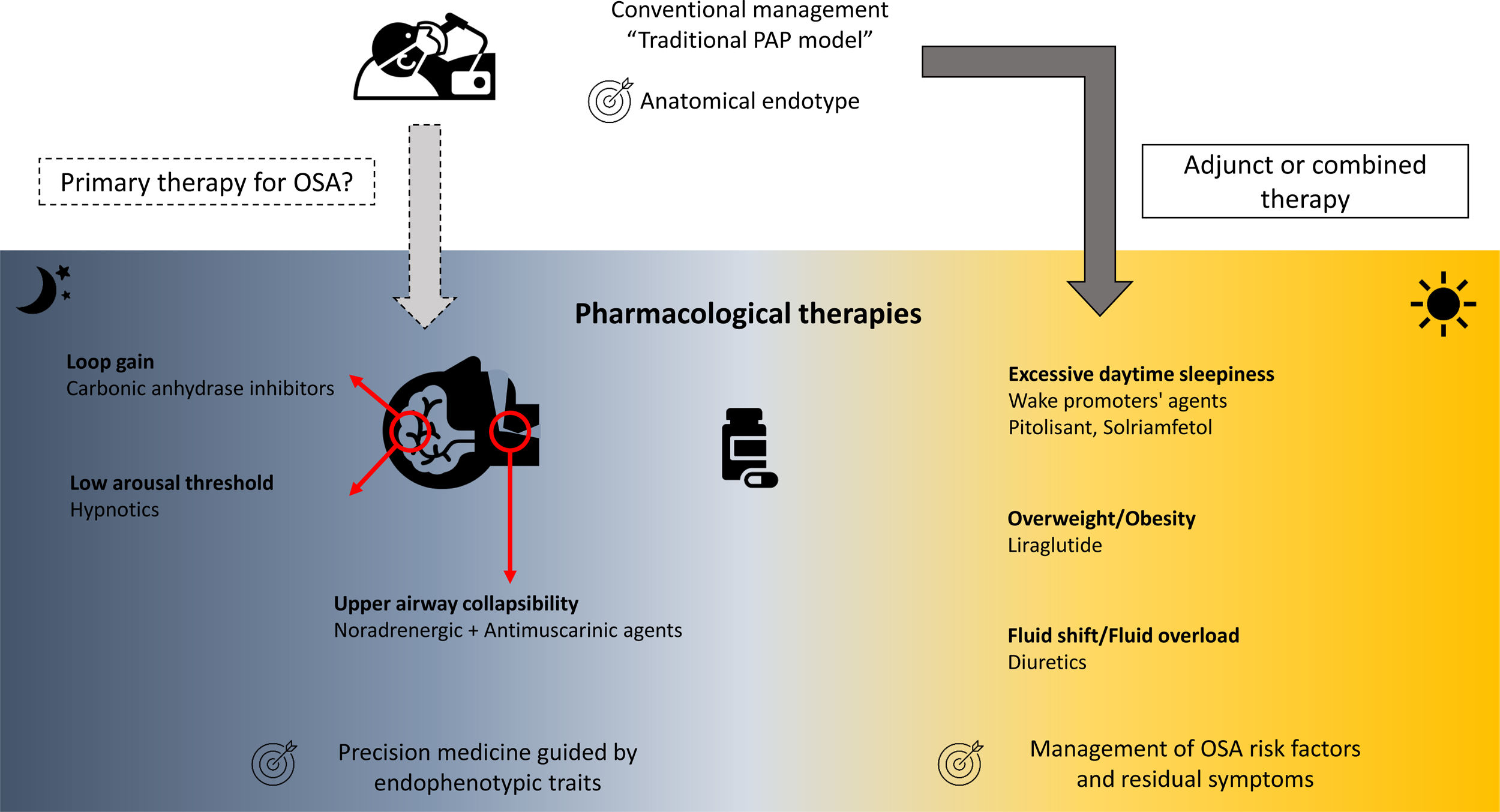 Current Knowledge and Perspectives for Pharmacological Treatment in OSA ...