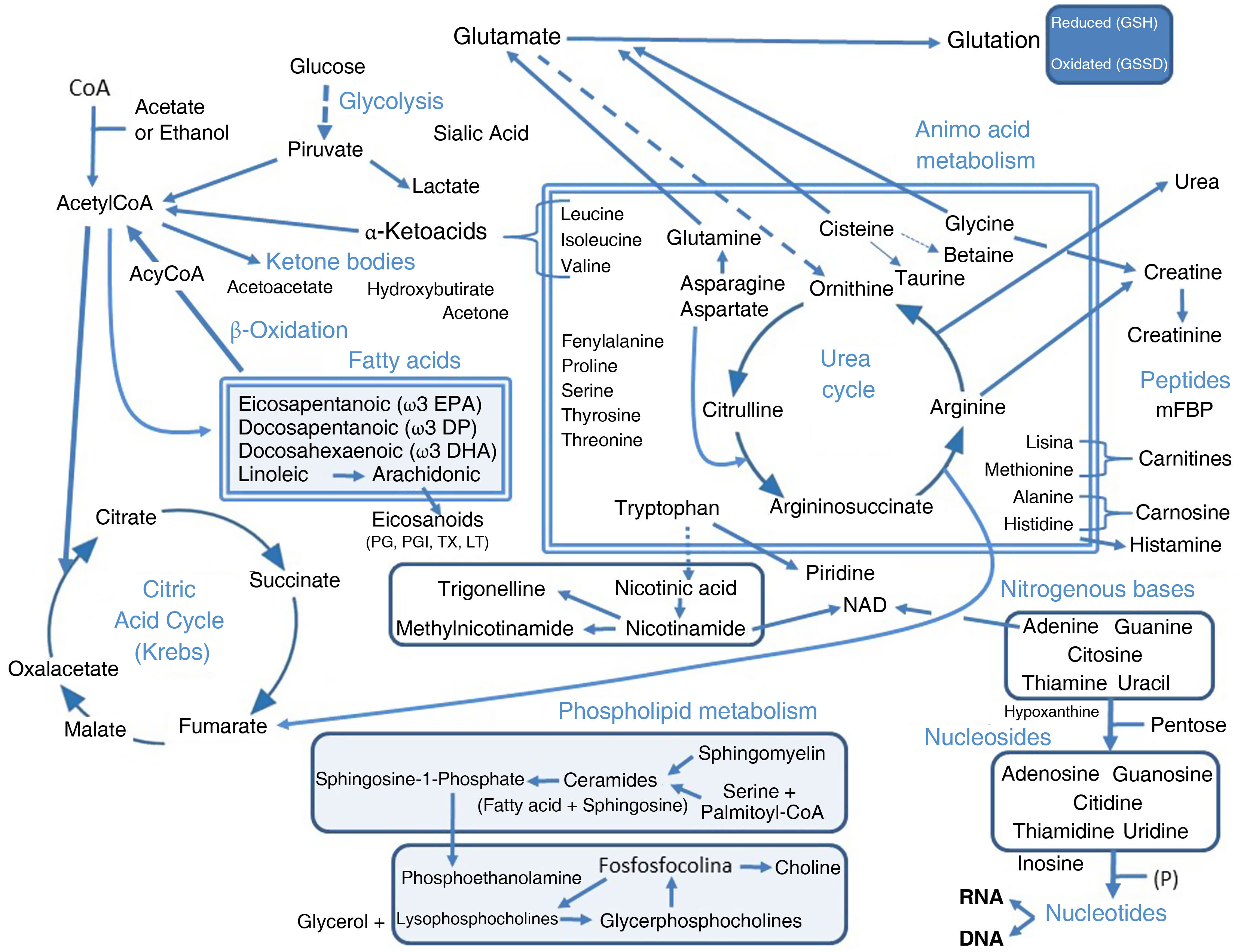 copd patient pathway
