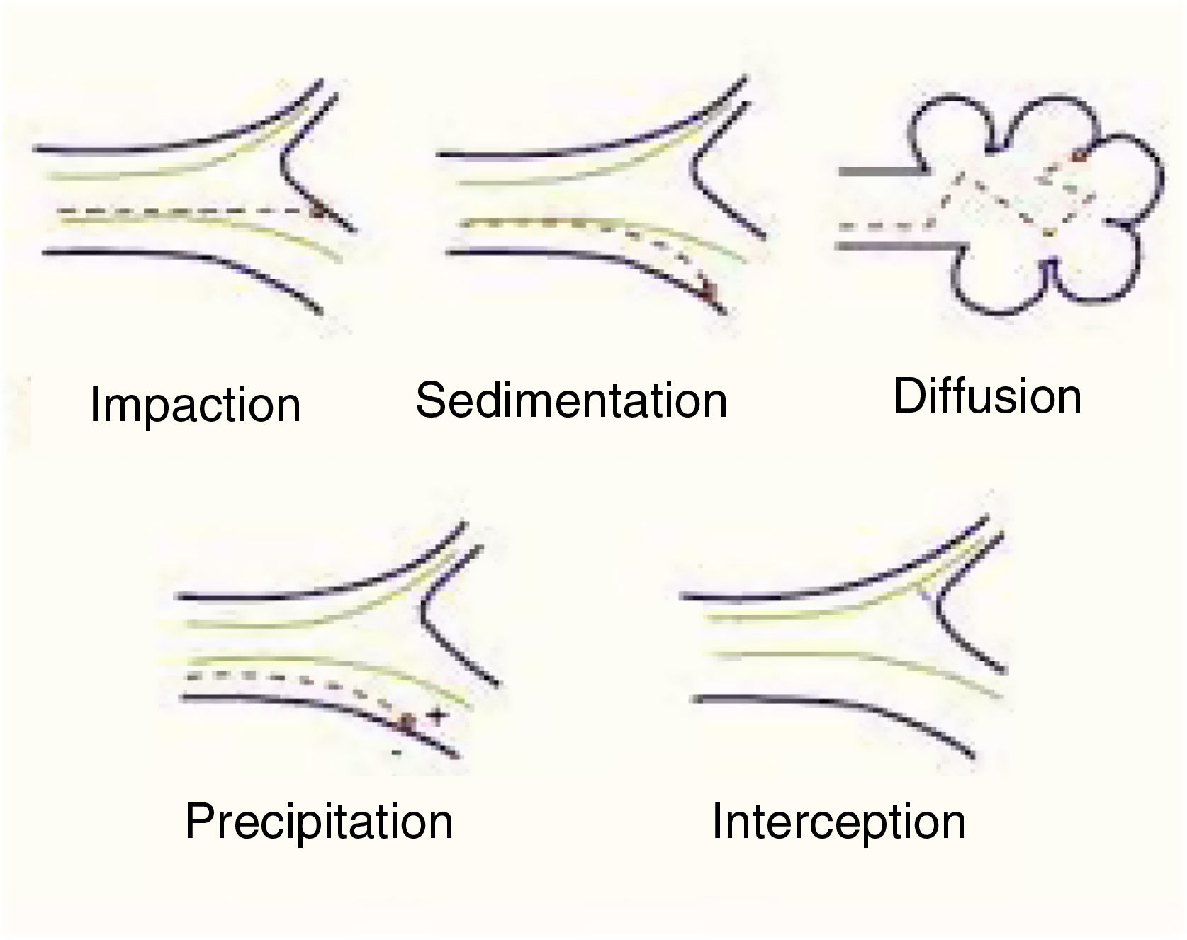 Deposition and Clinical Impact of Inhaled Particles in the Lung ...