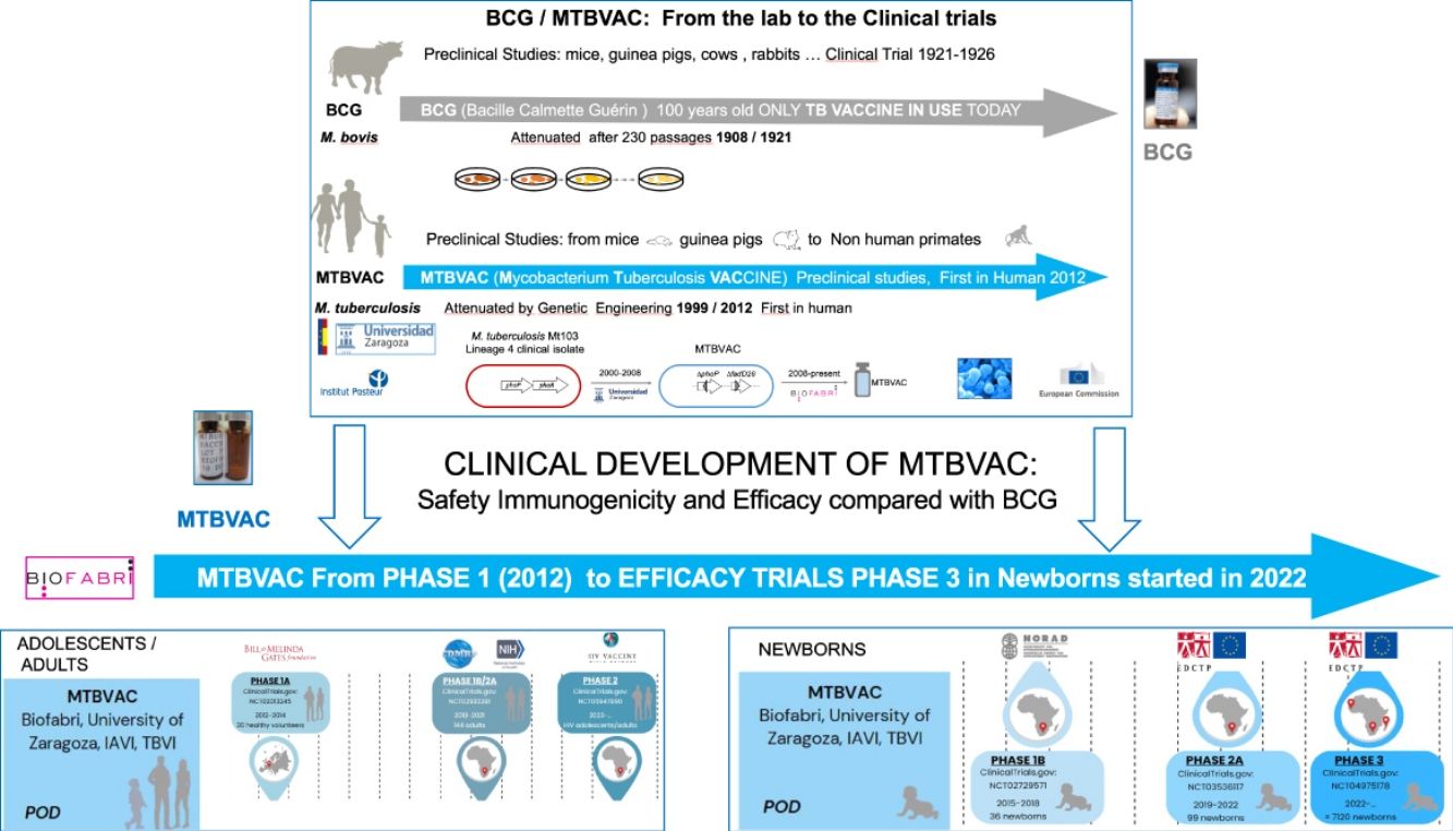 MTBVAC: A Tuberculosis Vaccine Candidate Advancing Towards Clinical ...