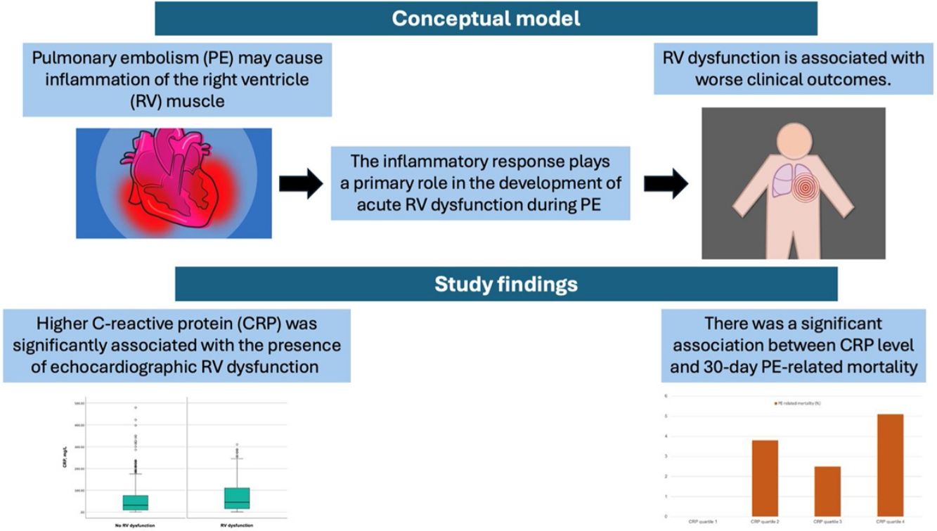 C-reactive Protein and Risk of Right Ventricular Dysfunction and ...