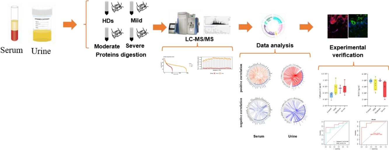 Quantitative Proteomics Analysis of Serum and Urine With DIA Mass ...