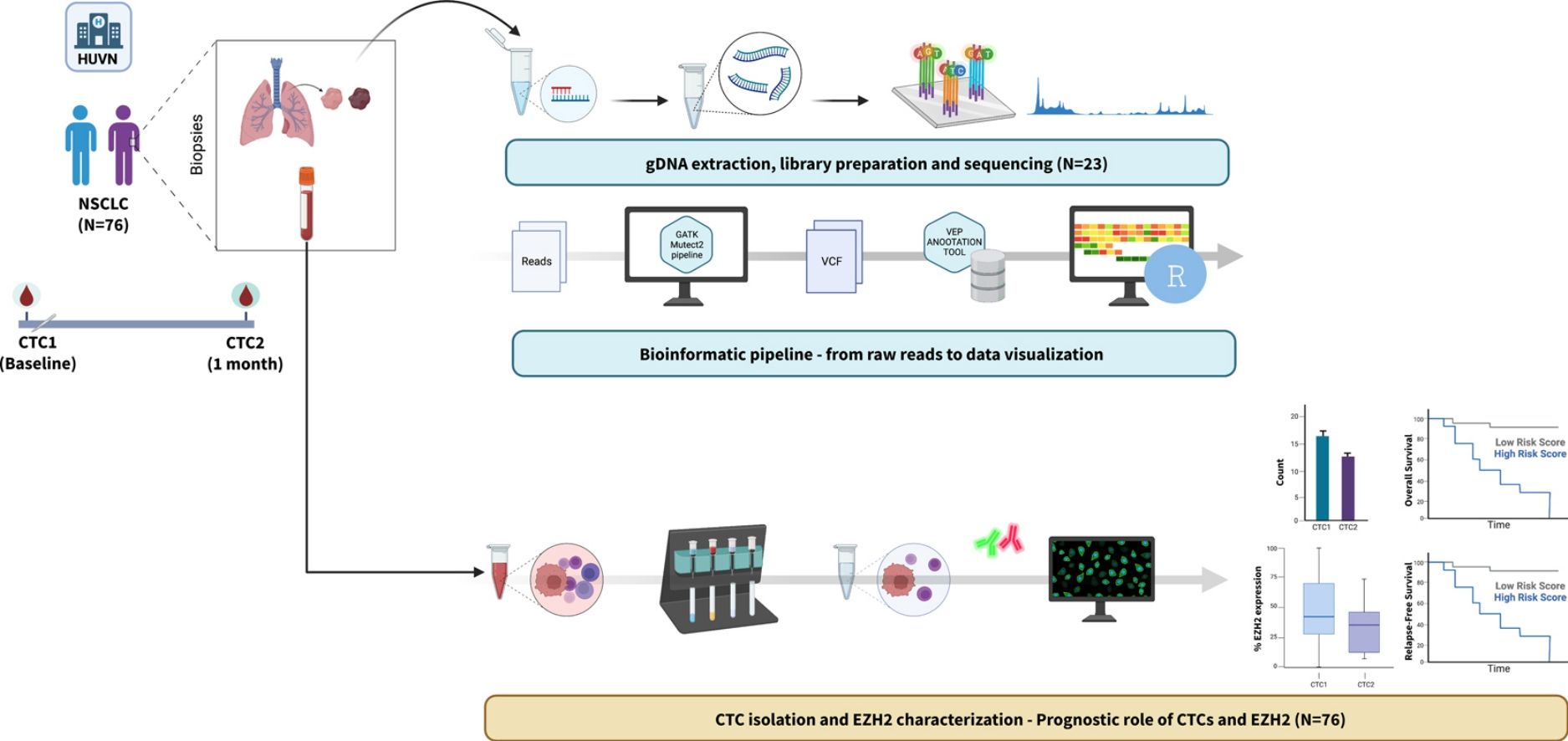 Resectable Non-Small Cell Lung Cancer Heterogeneity and Recurrence ...