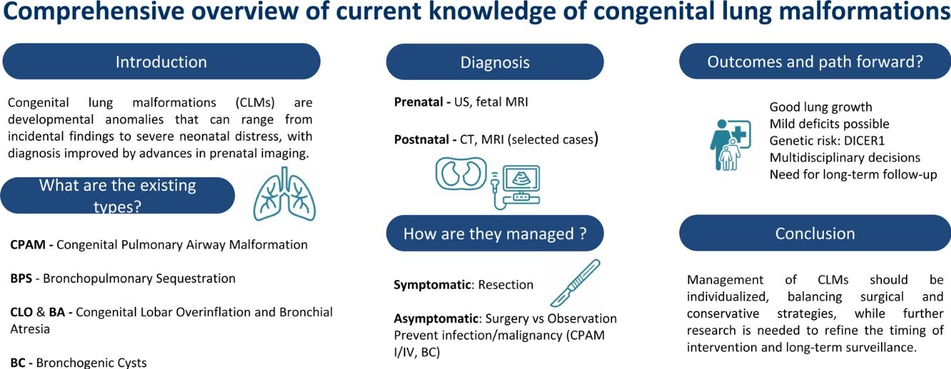 Congenital Lung Malformations: A Comprehensive Overview of Current ...