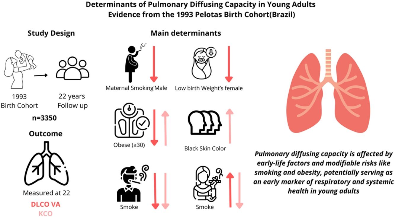 Lung Diffusing Capacity at Age 22 and its Life-Course Determinants ...