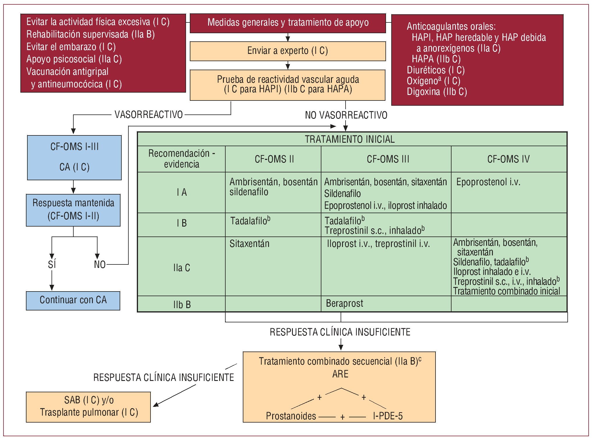Estrategias terapéuticas actuales en la hipertensión arterial pulmonar ...