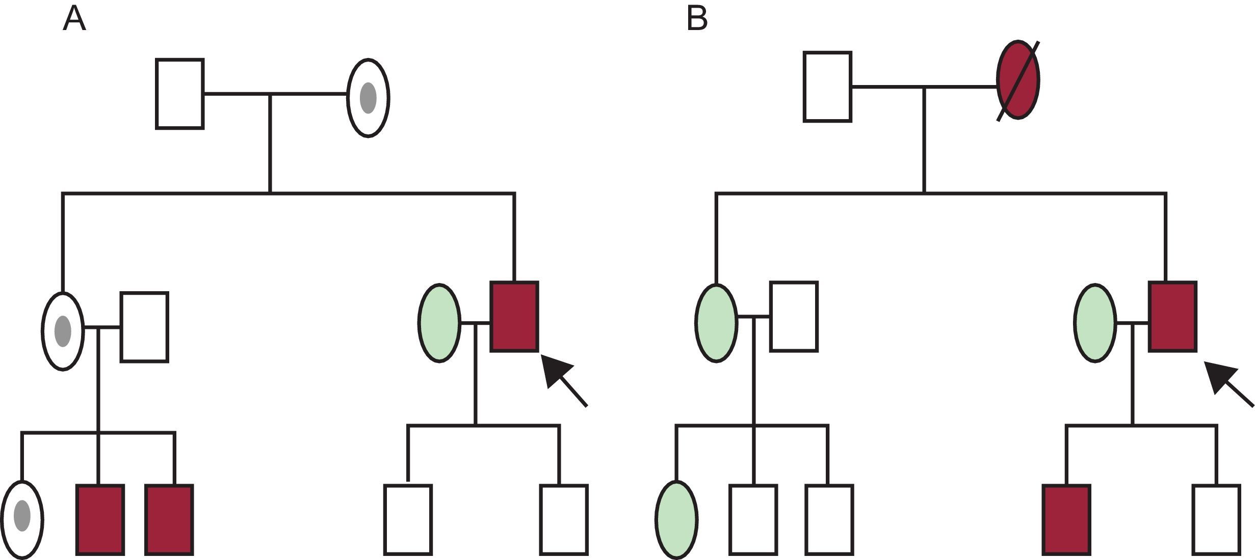 Protocolo de actuación en las cardiopatías familiares: síntesis de ...