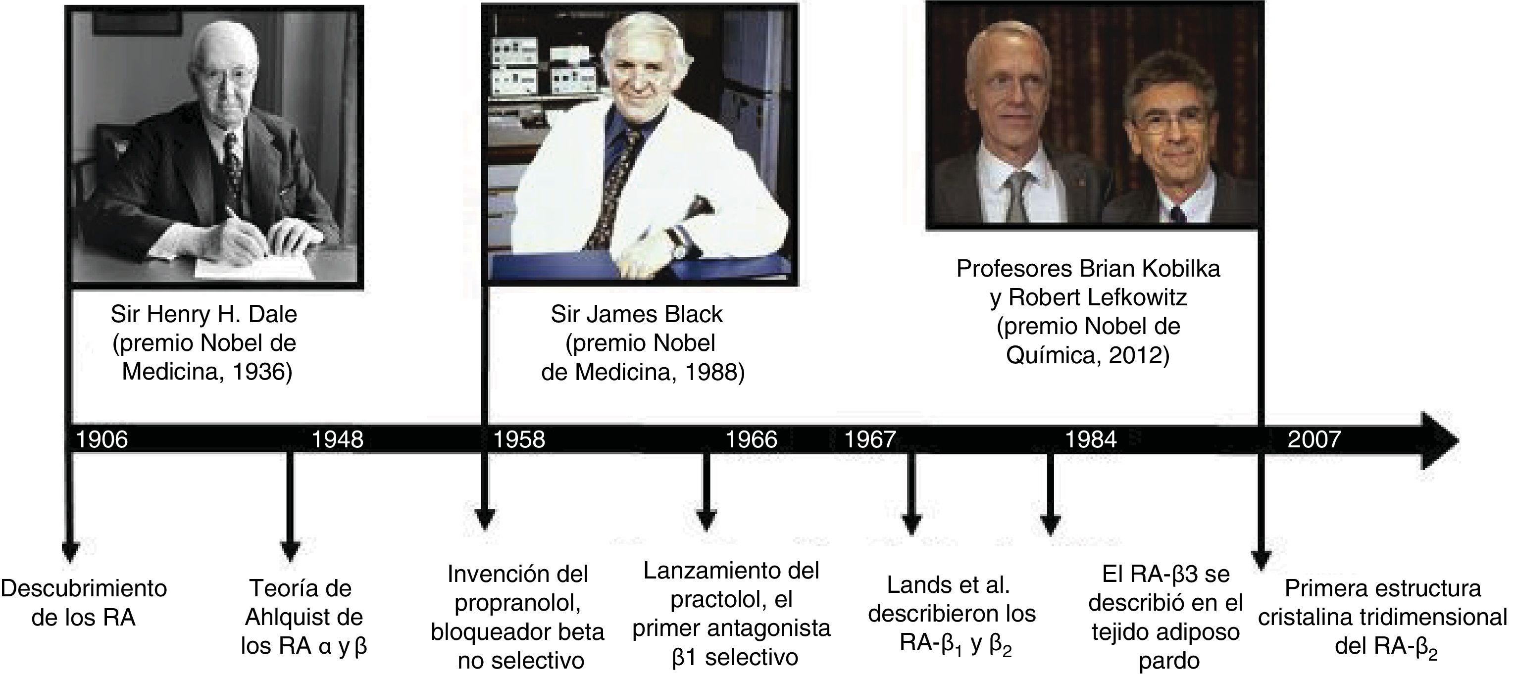 Bloqueadores beta: perspectiva histórica y mecanismos de acción ...