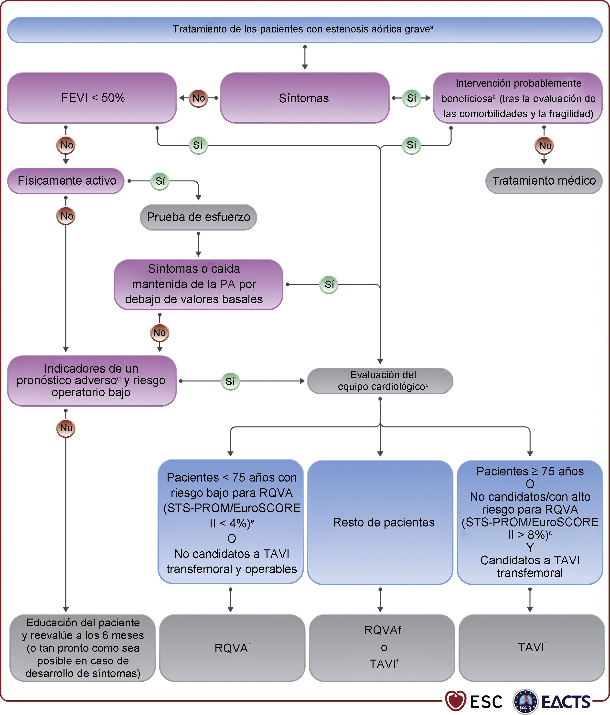 Guía ESC/EACTS 2021 sobre el diagnóstico y tratamiento de las ...