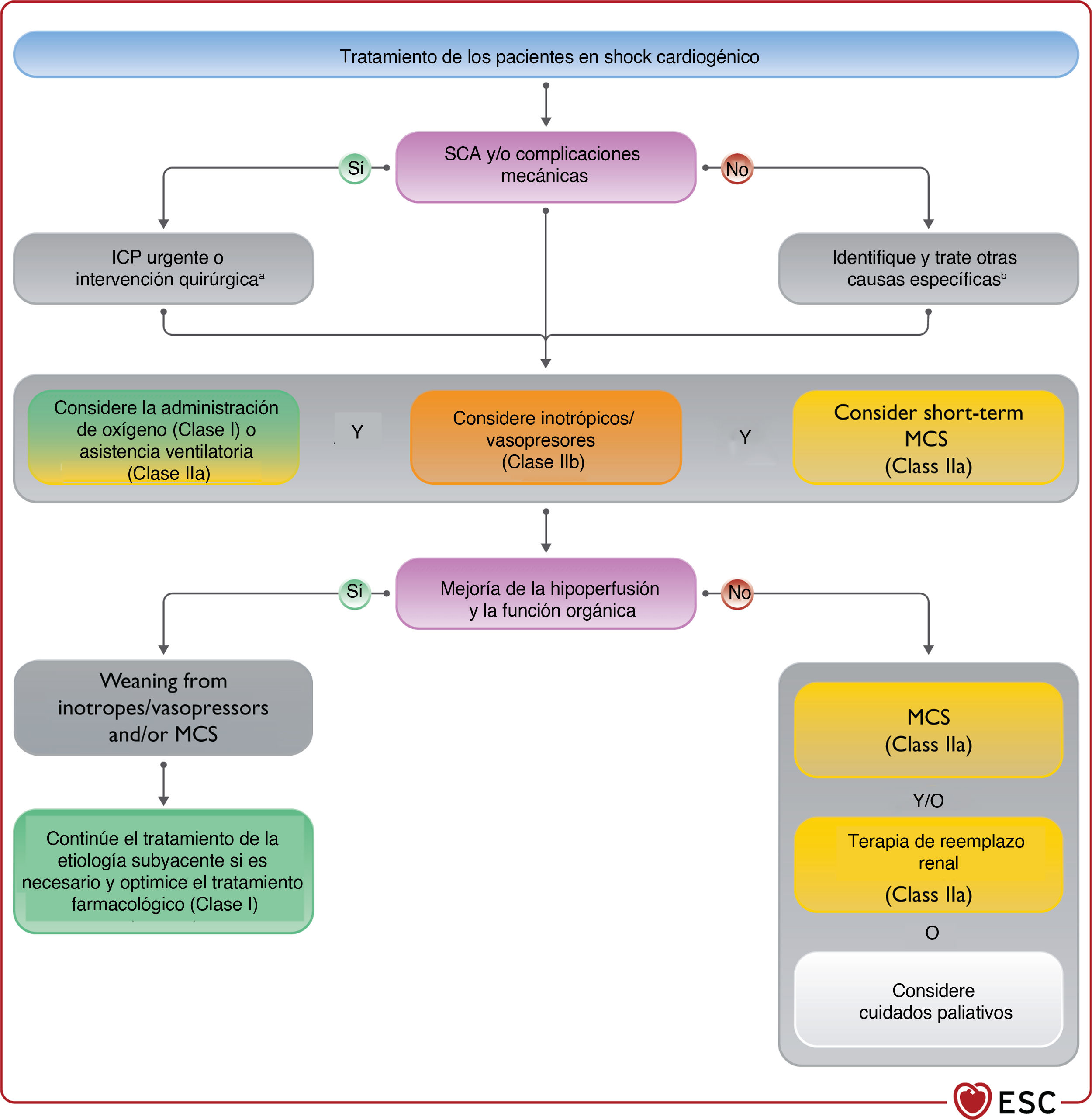 Guía ESC 2021 sobre el diagnóstico y tratamiento de la insuficiencia ...