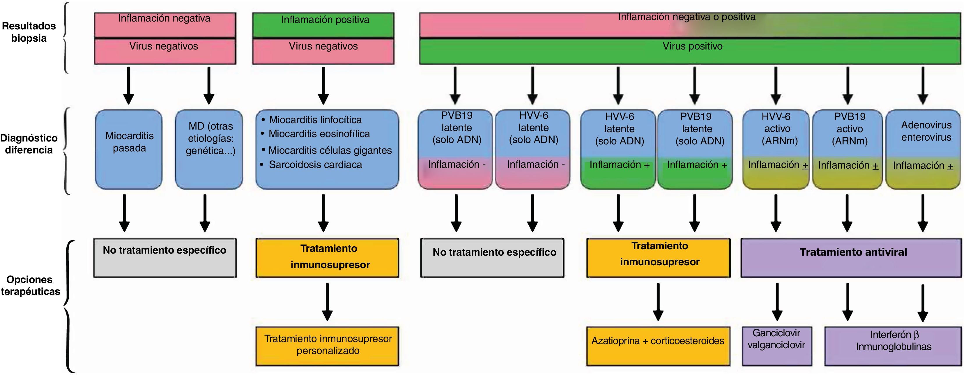 Diagnóstico y tratamiento de la miocarditis y la miocardiopatía ...
