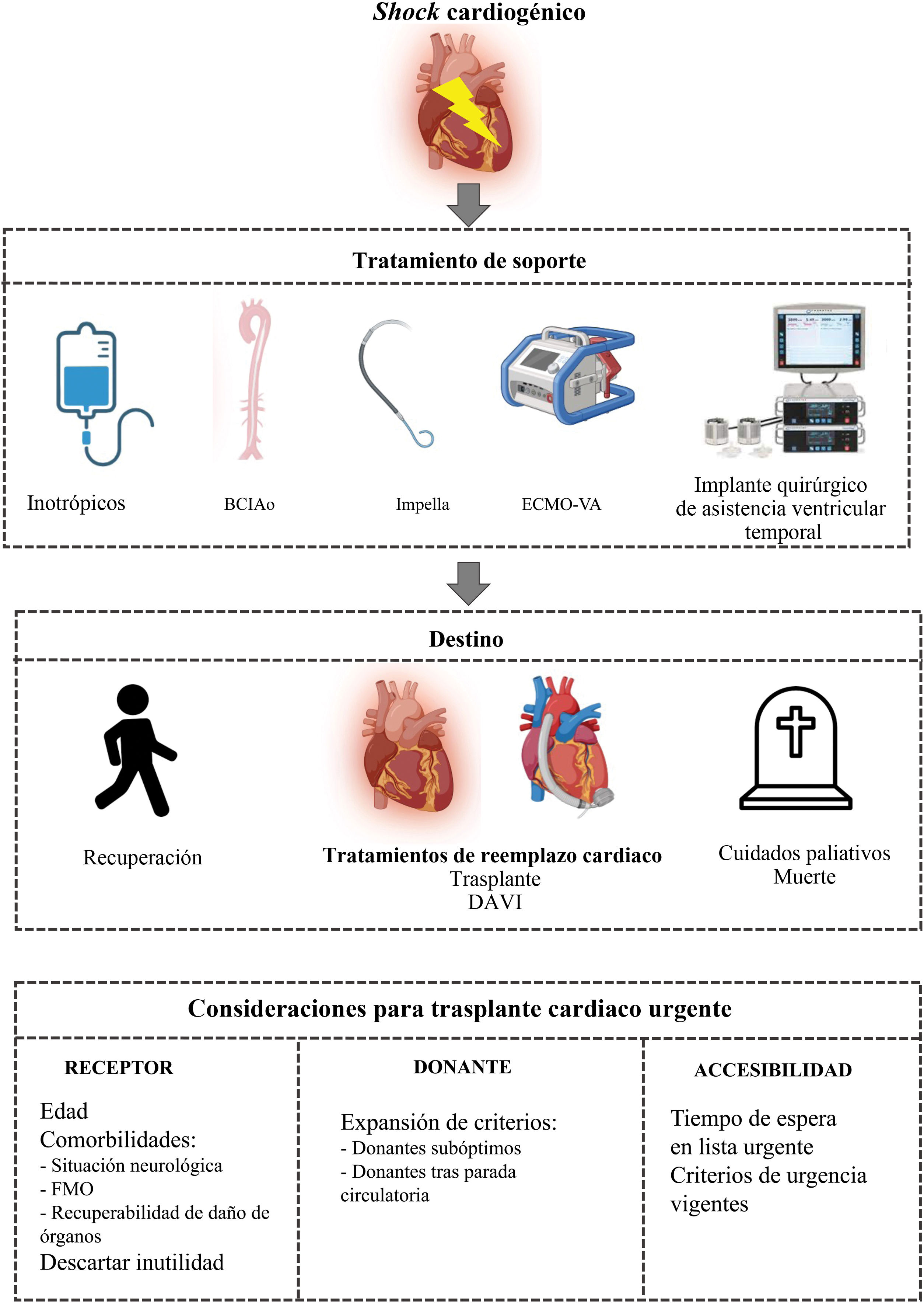 Trasplante cardiaco como tratamiento del shock cardiogénico: ¿una ...